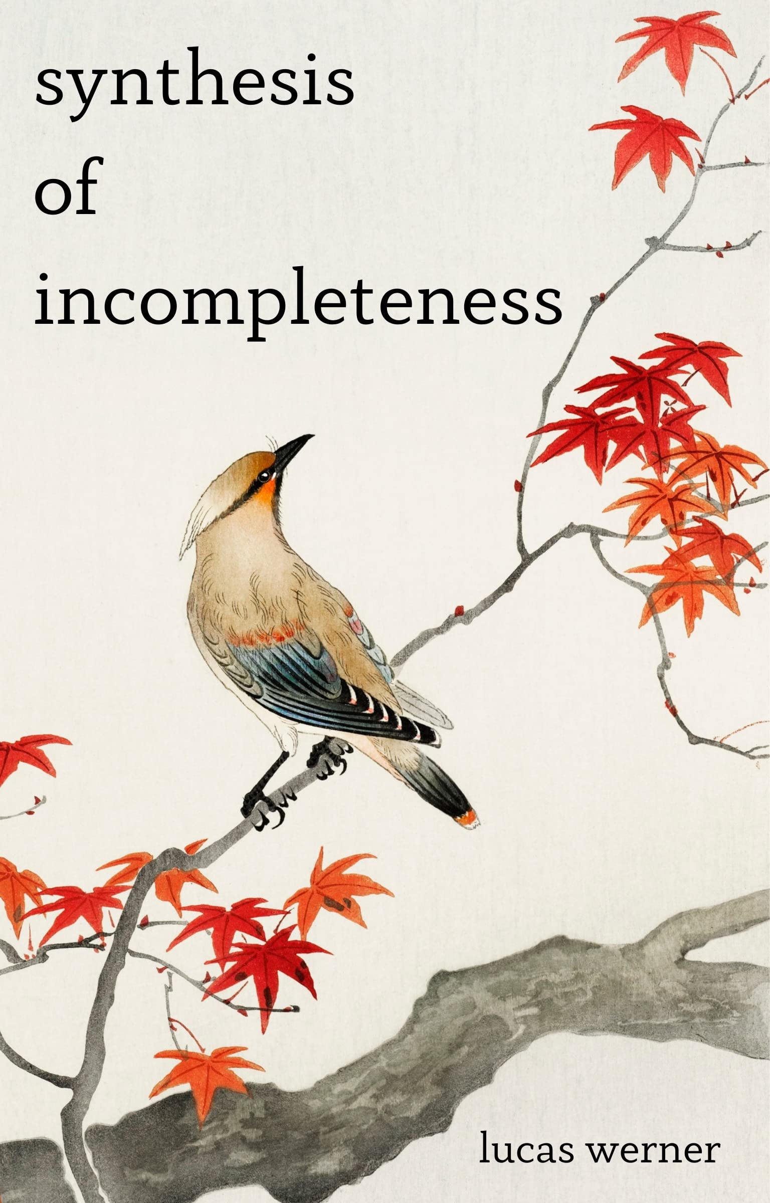 Synthesis Of Incompleteness by Lucas Werner | Goodreads