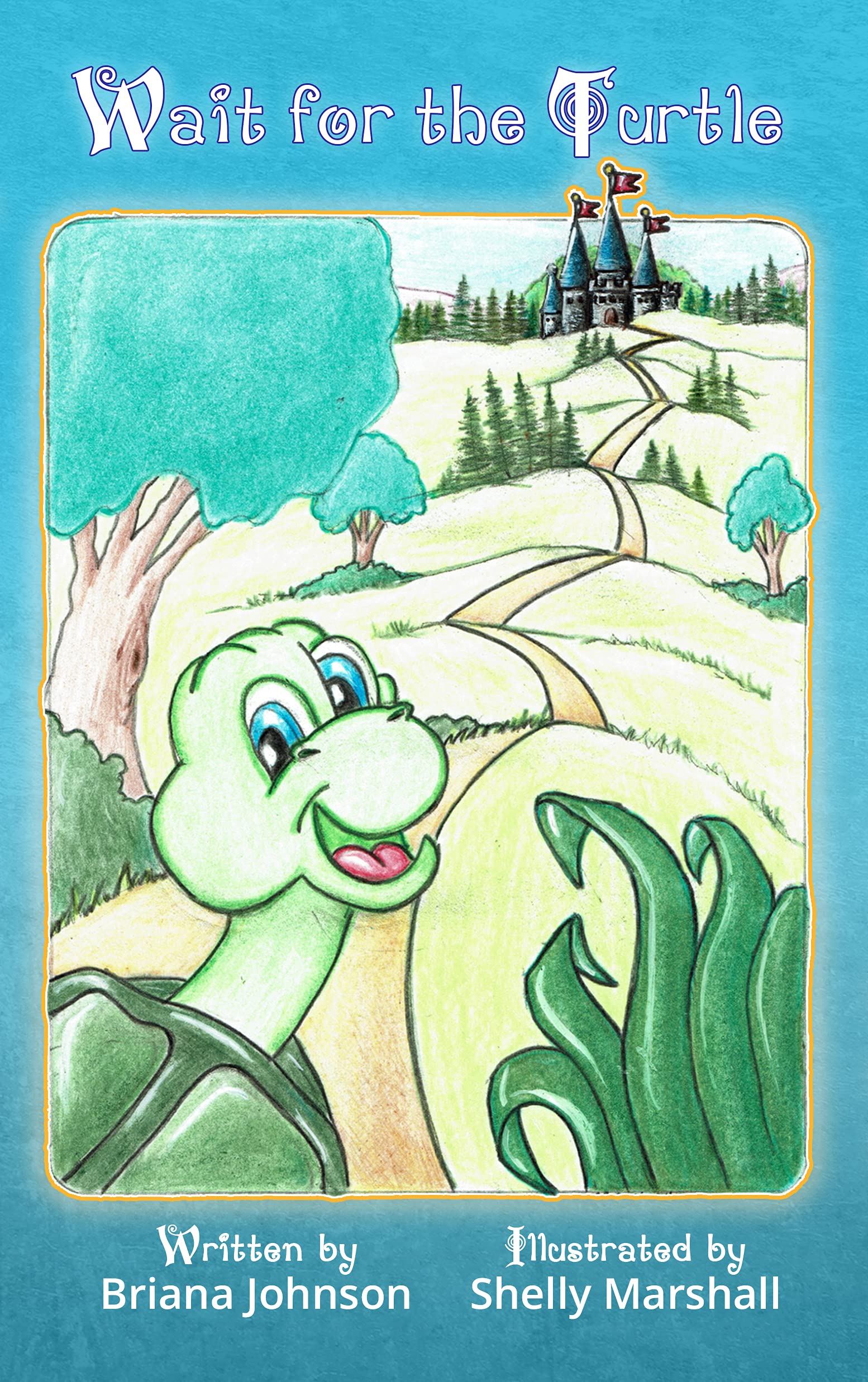 Wait for the Turtle by Briana Johnson | Goodreads