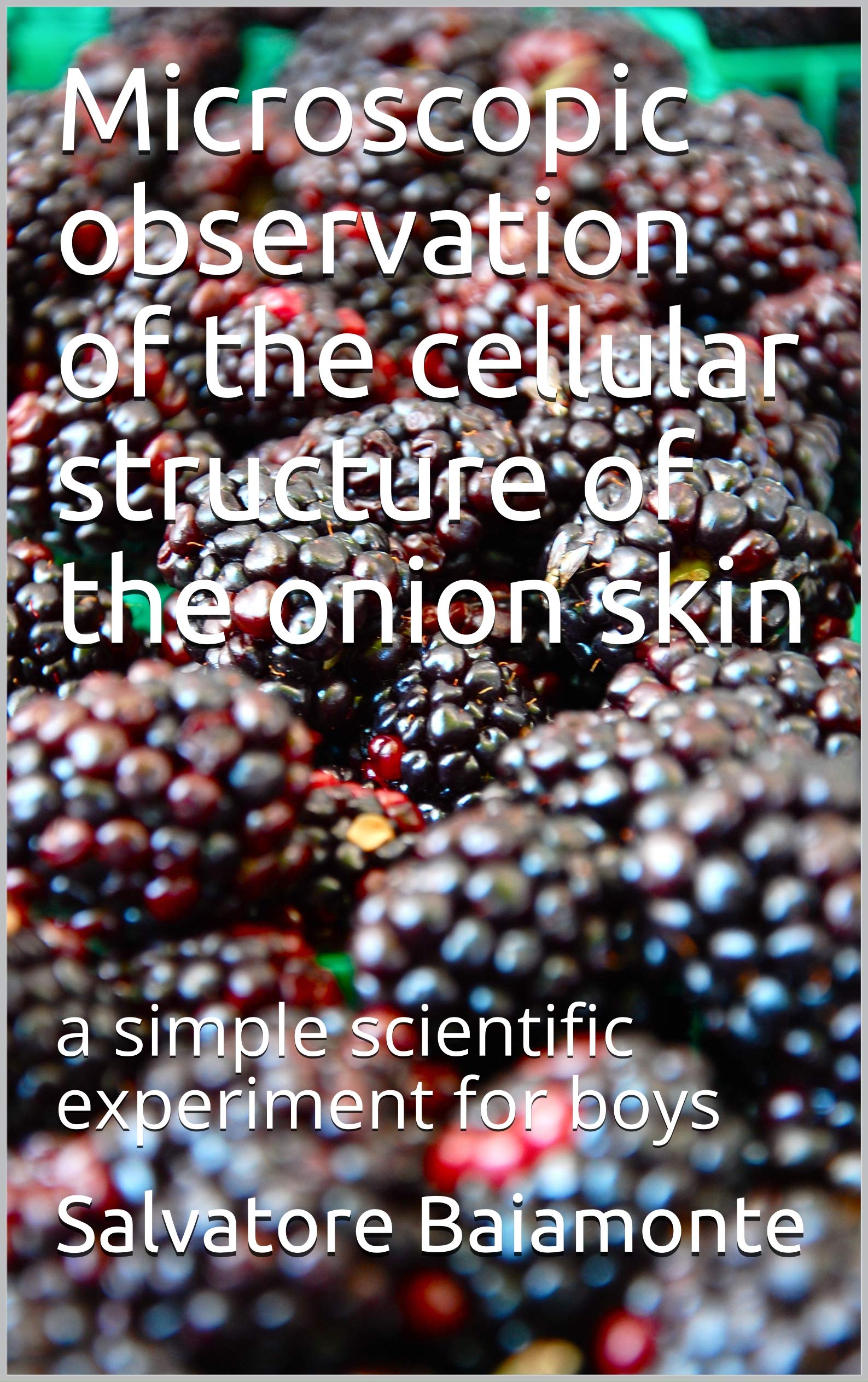 Microscopic observation of the cellular structure of the onion skin: a ...
