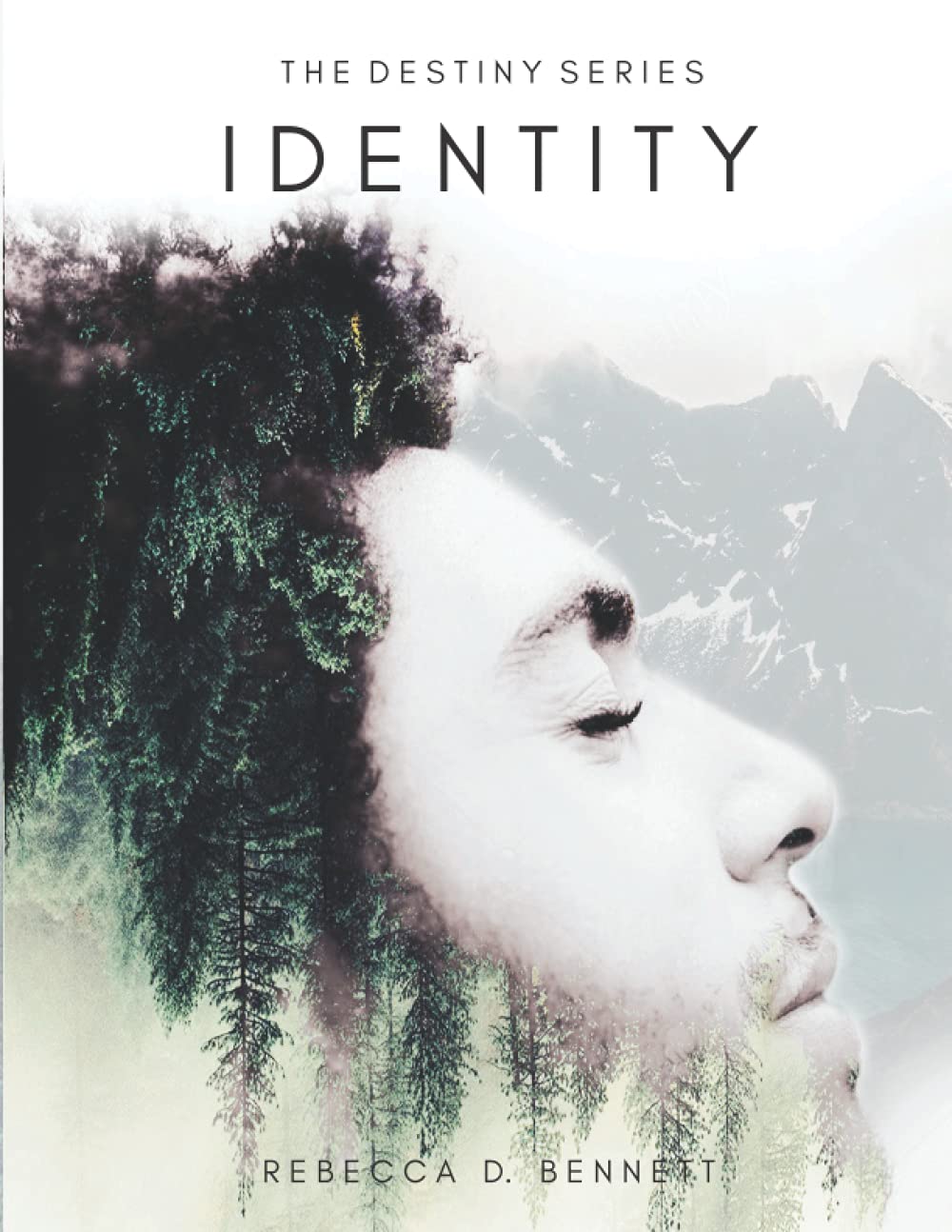 The Destiny Series Identity Workbook: The Key To Discovering The True ...