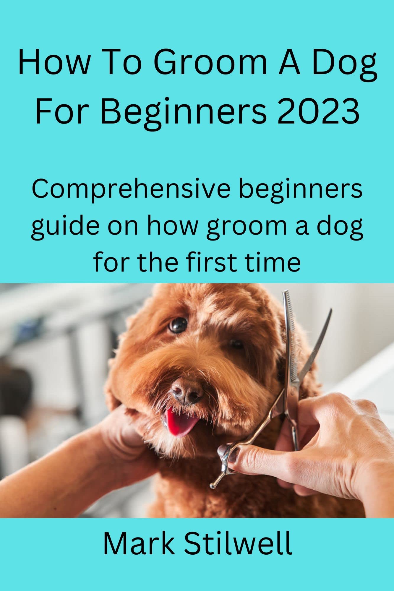 How To Groom A Dog For Beginners : Comprehensive beginners guide on how groom a dog for the ...