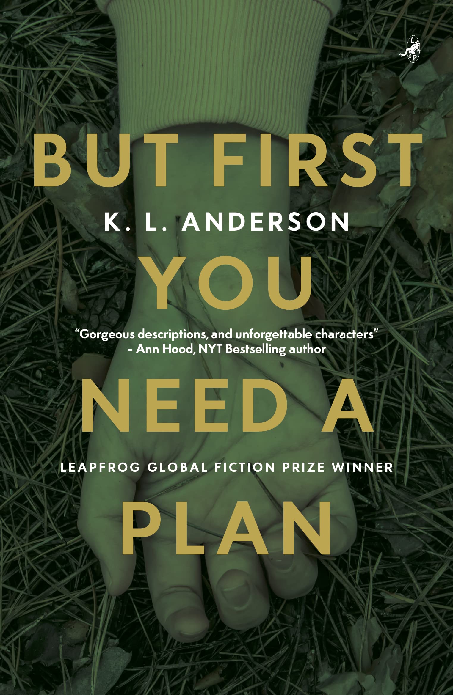 But First You Need a Plan: LEAPFROG GLOBAL FICTION PRIZE WINNER by K.L ...