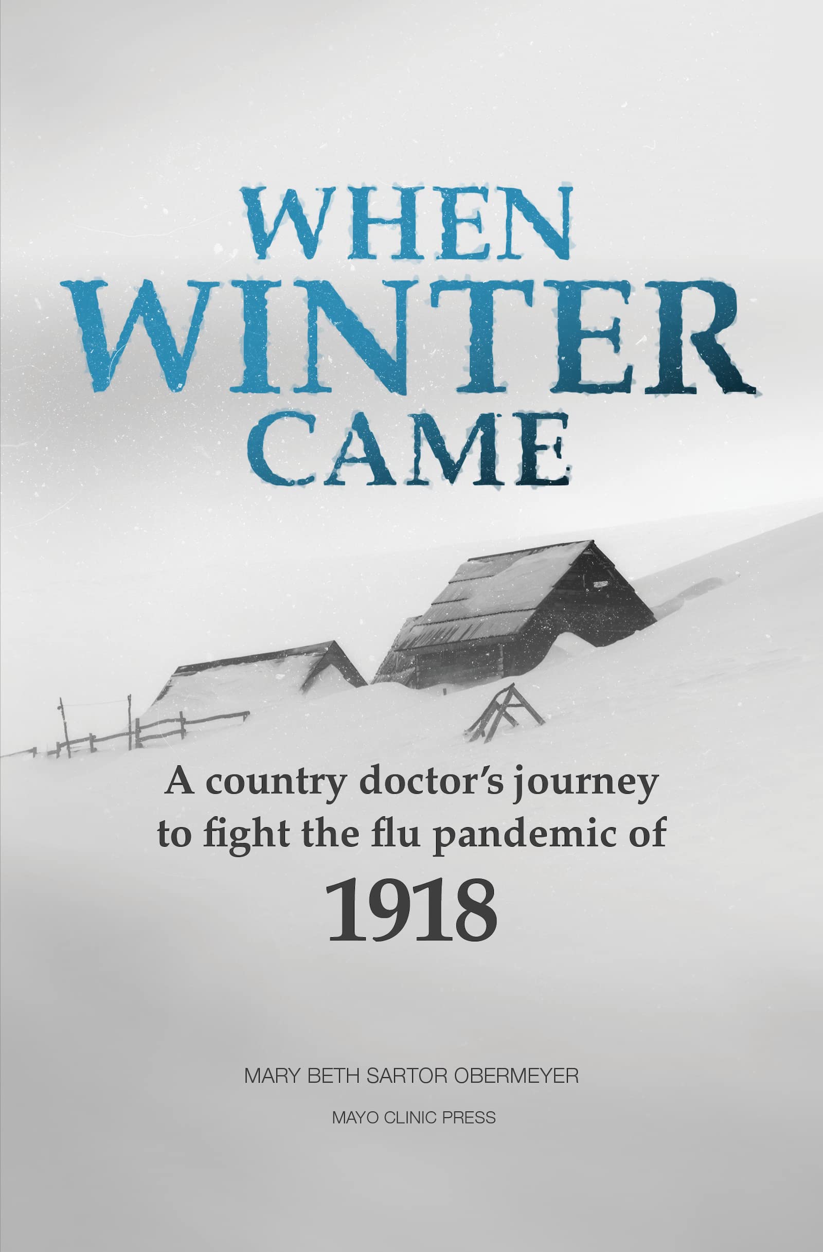 When Winter Came: A country doctor's journey to fight the flu pandemic of 1918 by Mary Beth ...
