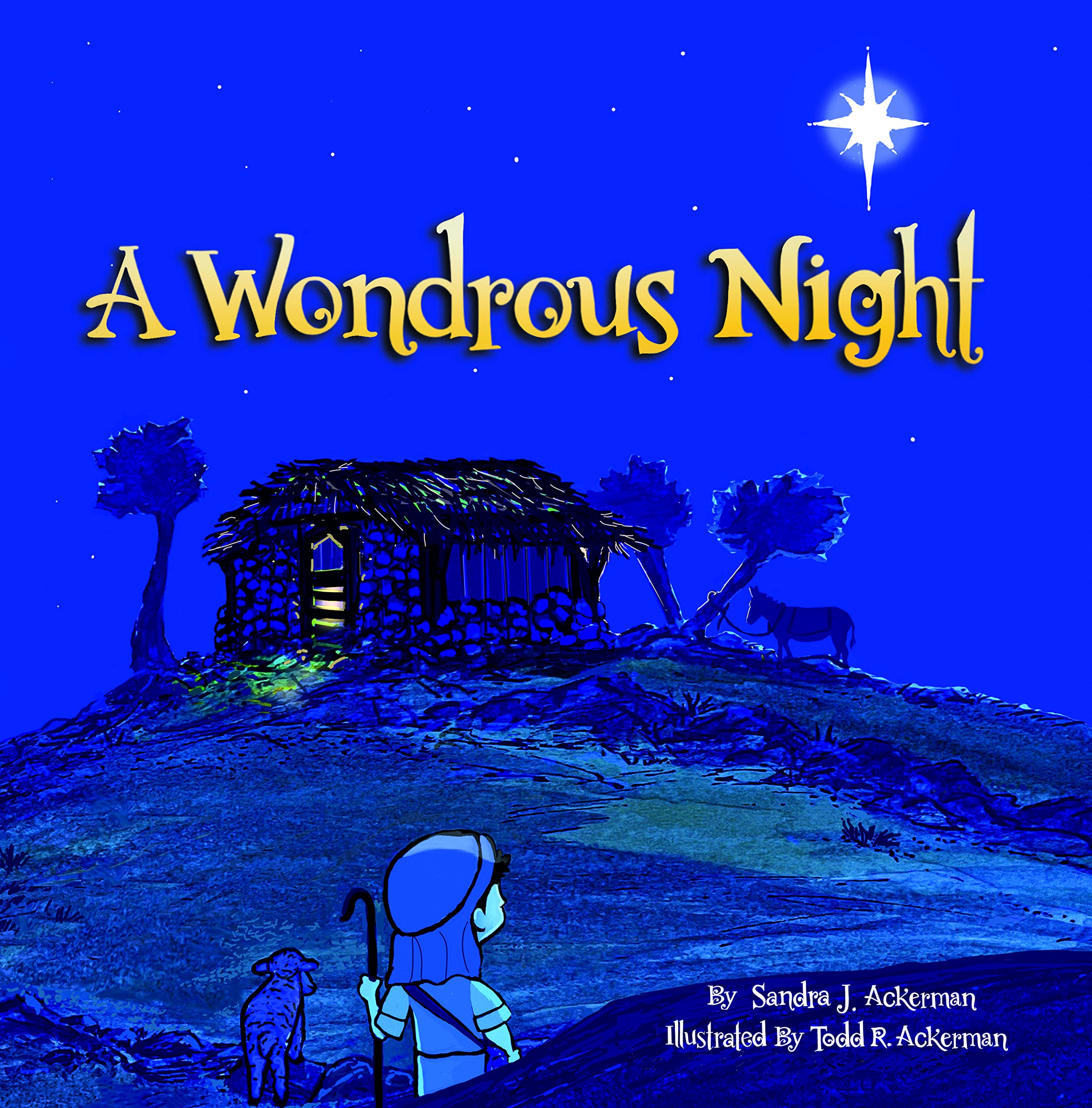 A Wondrous Night: : The Christmas Story retold by Sandra J. Ackerman ...