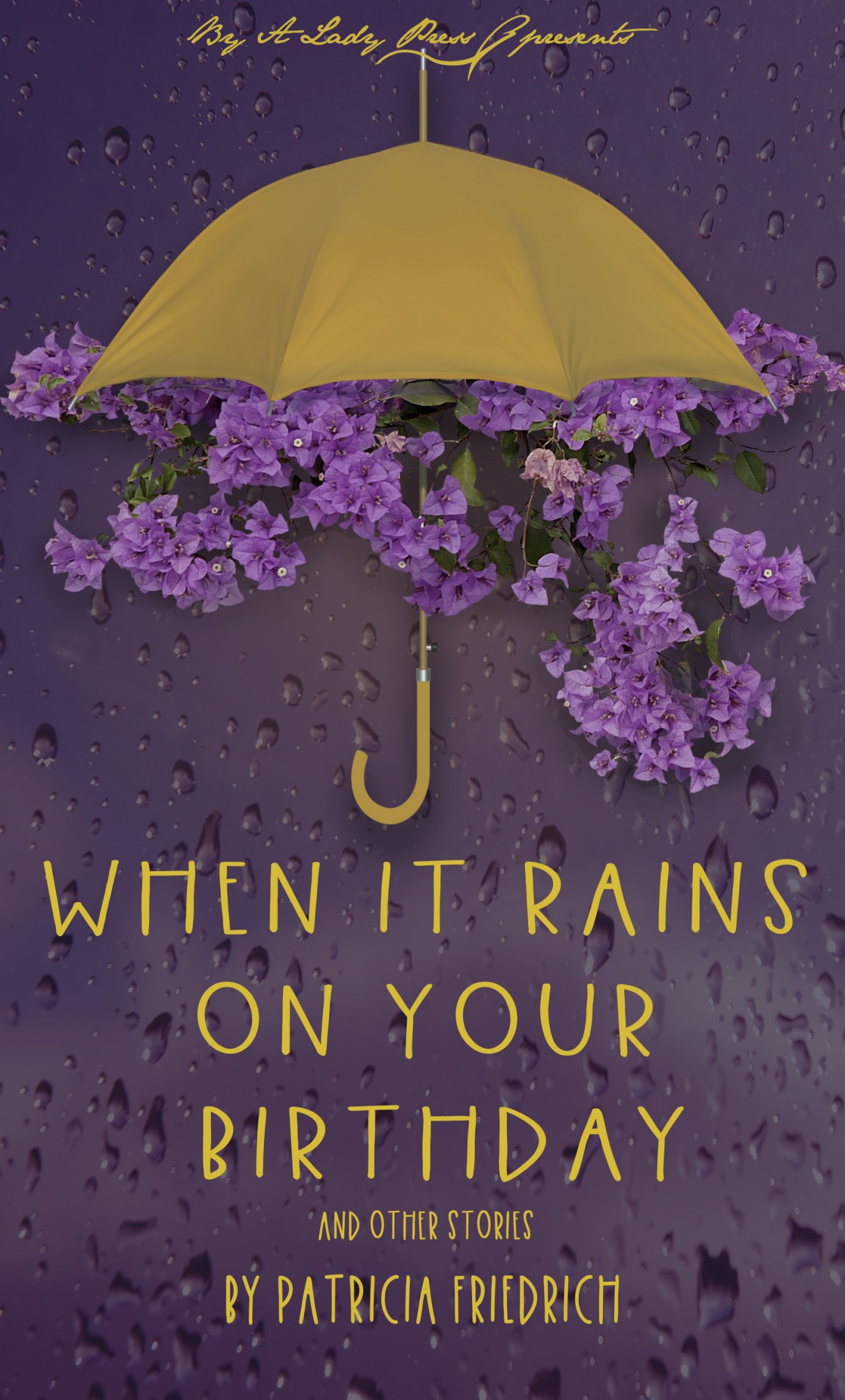 when-it-rains-on-your-birthday-by-patricia-friedrich-goodreads