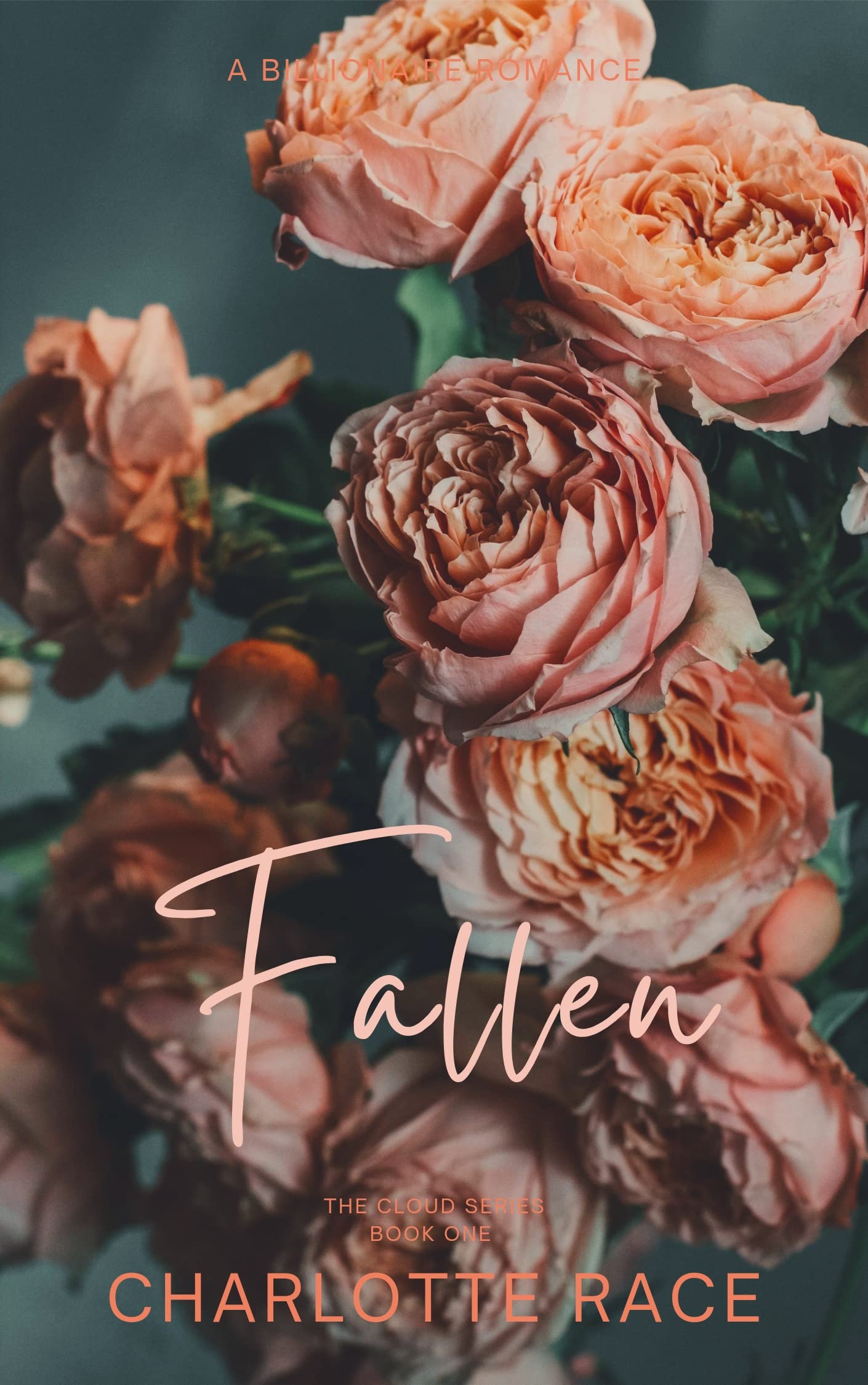 Fallen: Discreet Cover of The Billionaire Cloud Series (Book One) by ...