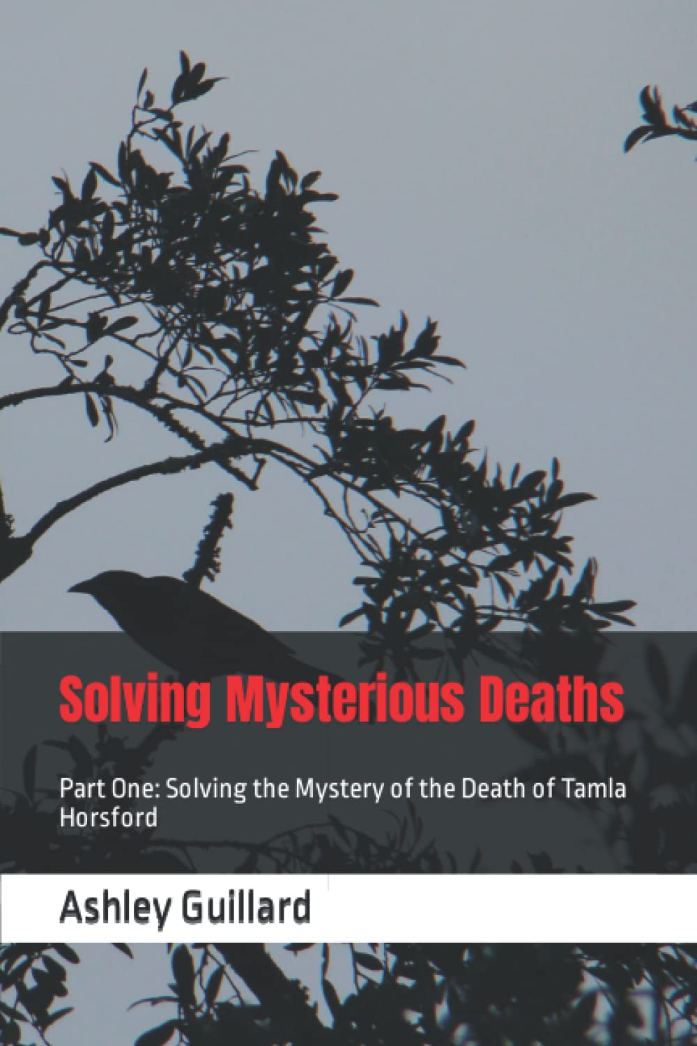 Solving Mysterious Deaths: Part One: Solving the Mystery of the Death ...