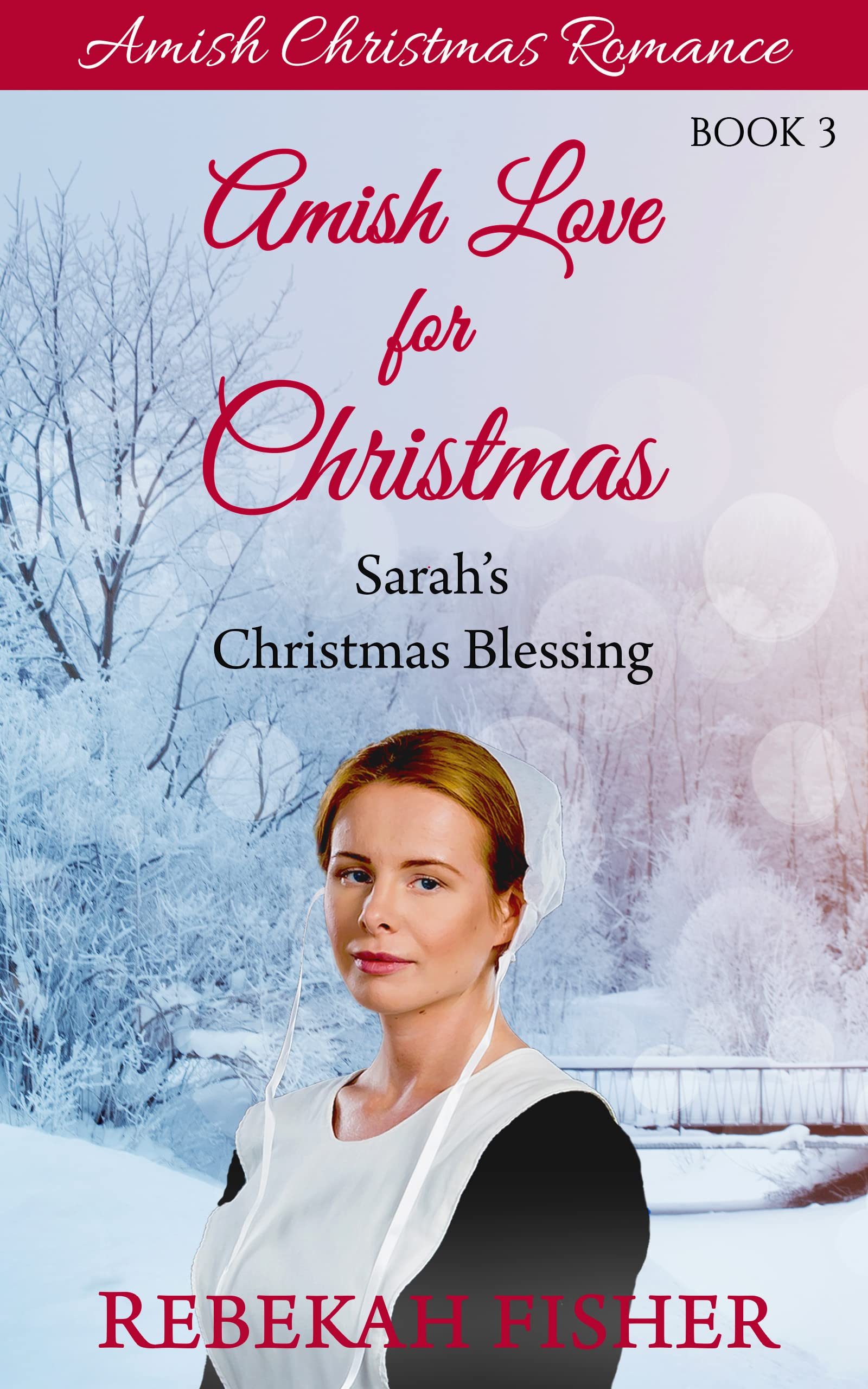 Sarah's Christmas Blessing by Rebekah Fisher | Goodreads