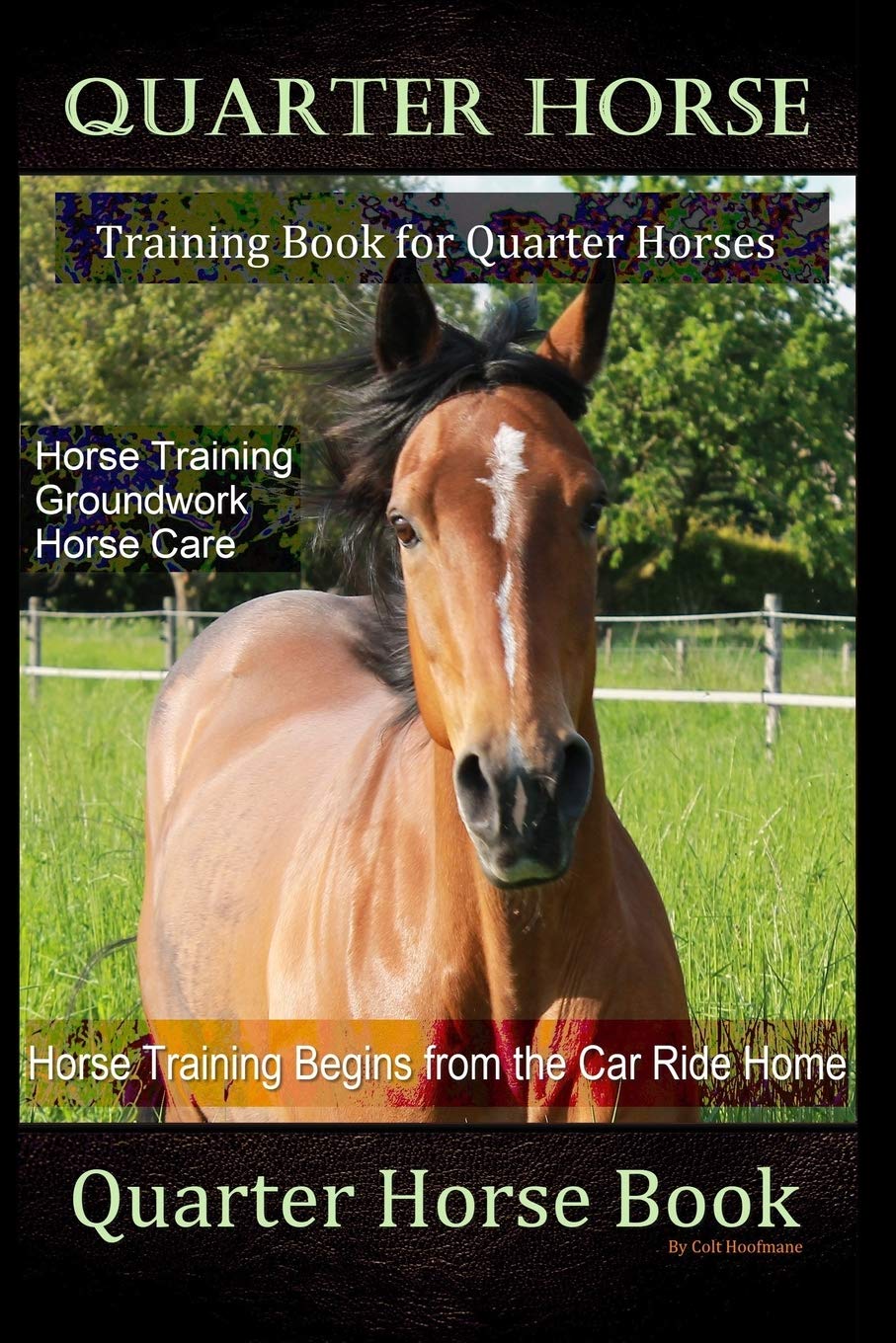 25 Best Books For Horse Training With Intention – VZJMZ