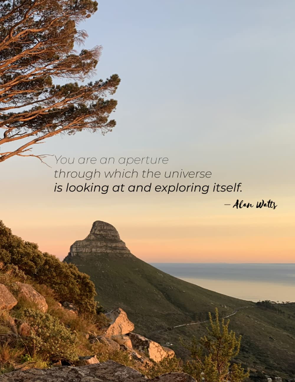 Daily Journal of Allan Watts Quotes: Inspiration fulfilled by Go Lucky ...