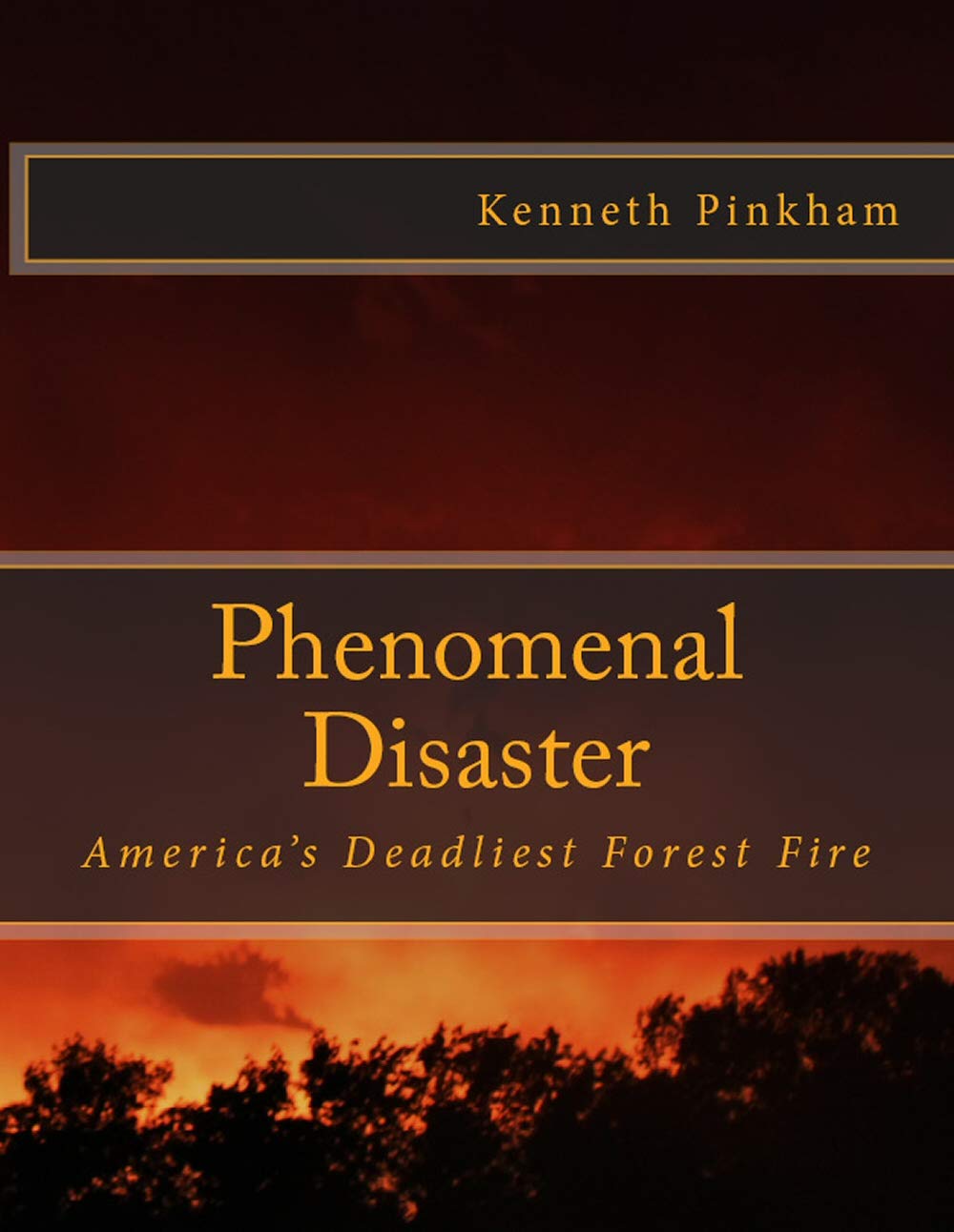 Phenomenal Disaster: America's Deadliest Forest Fire by Kenneth E ...