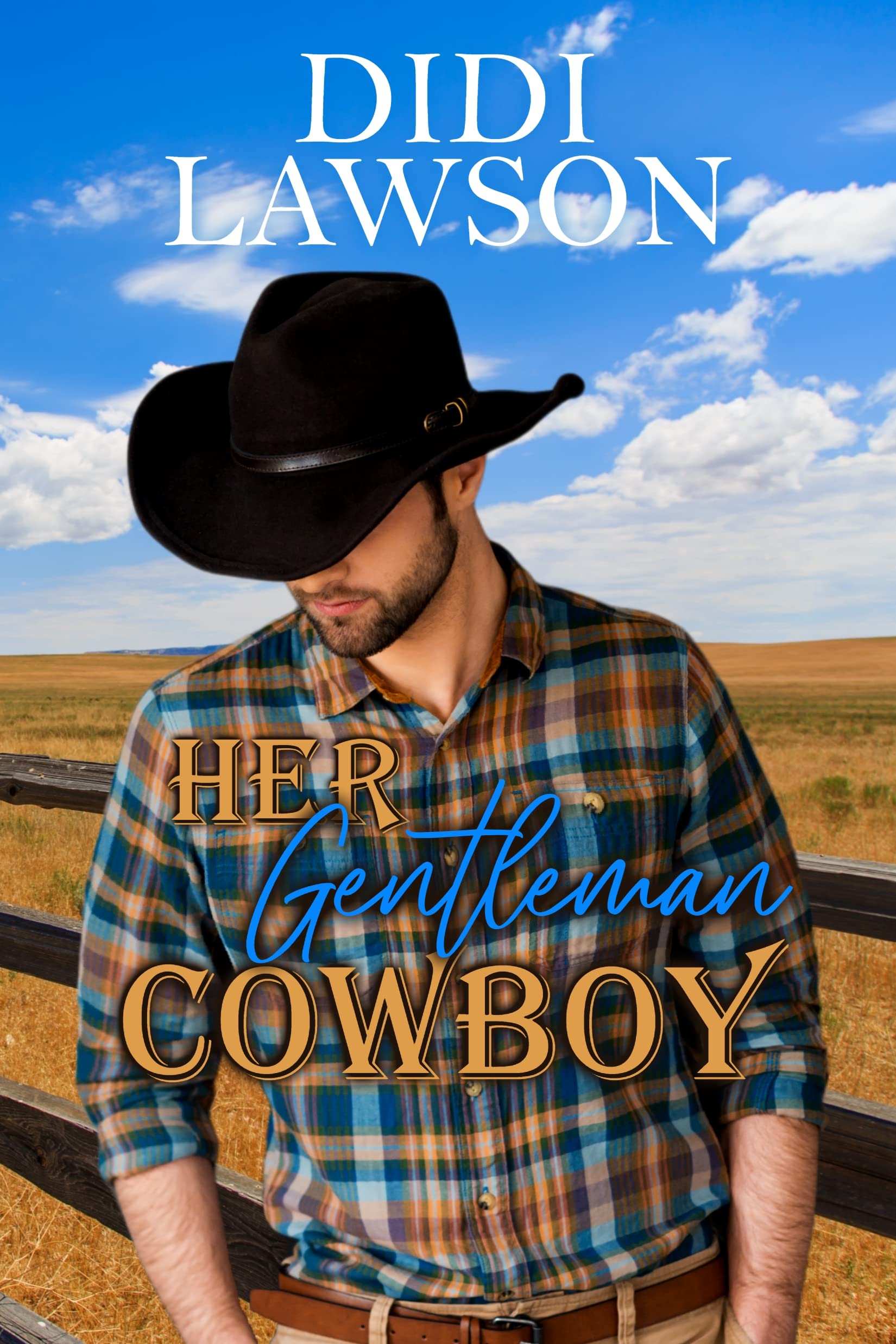 Her Gentleman Cowboy by Didi Lawson | Goodreads