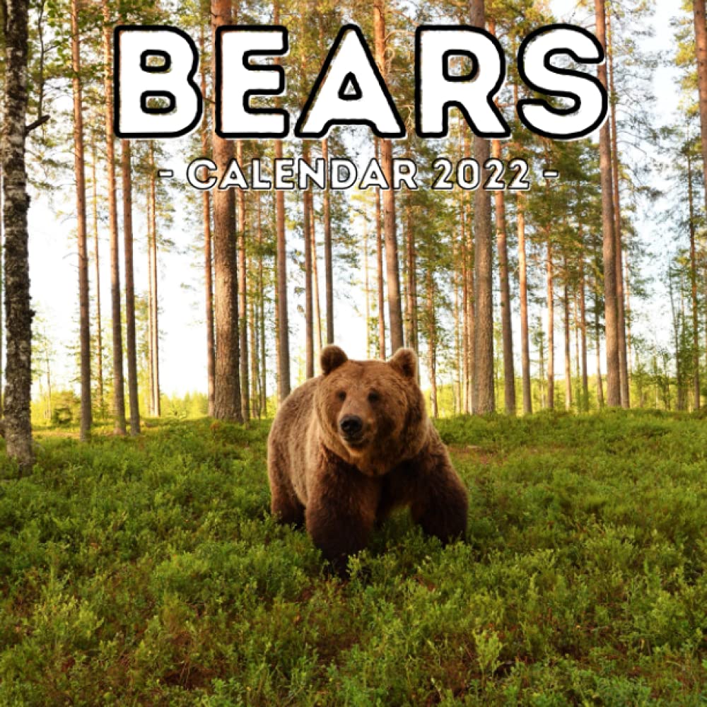 Bears Calendar 2022: 16-Month Calendar, Cute Gift Idea For Bear Lovers ...