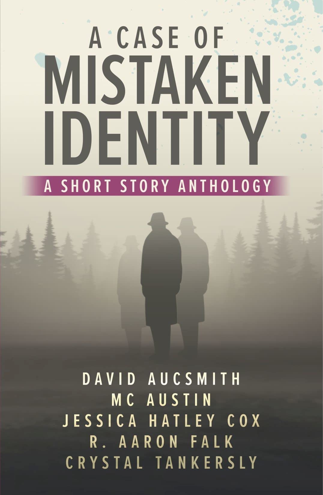 A Case of Mistaken Identity: A Short Story Anthology by R. Aaron Falk ...