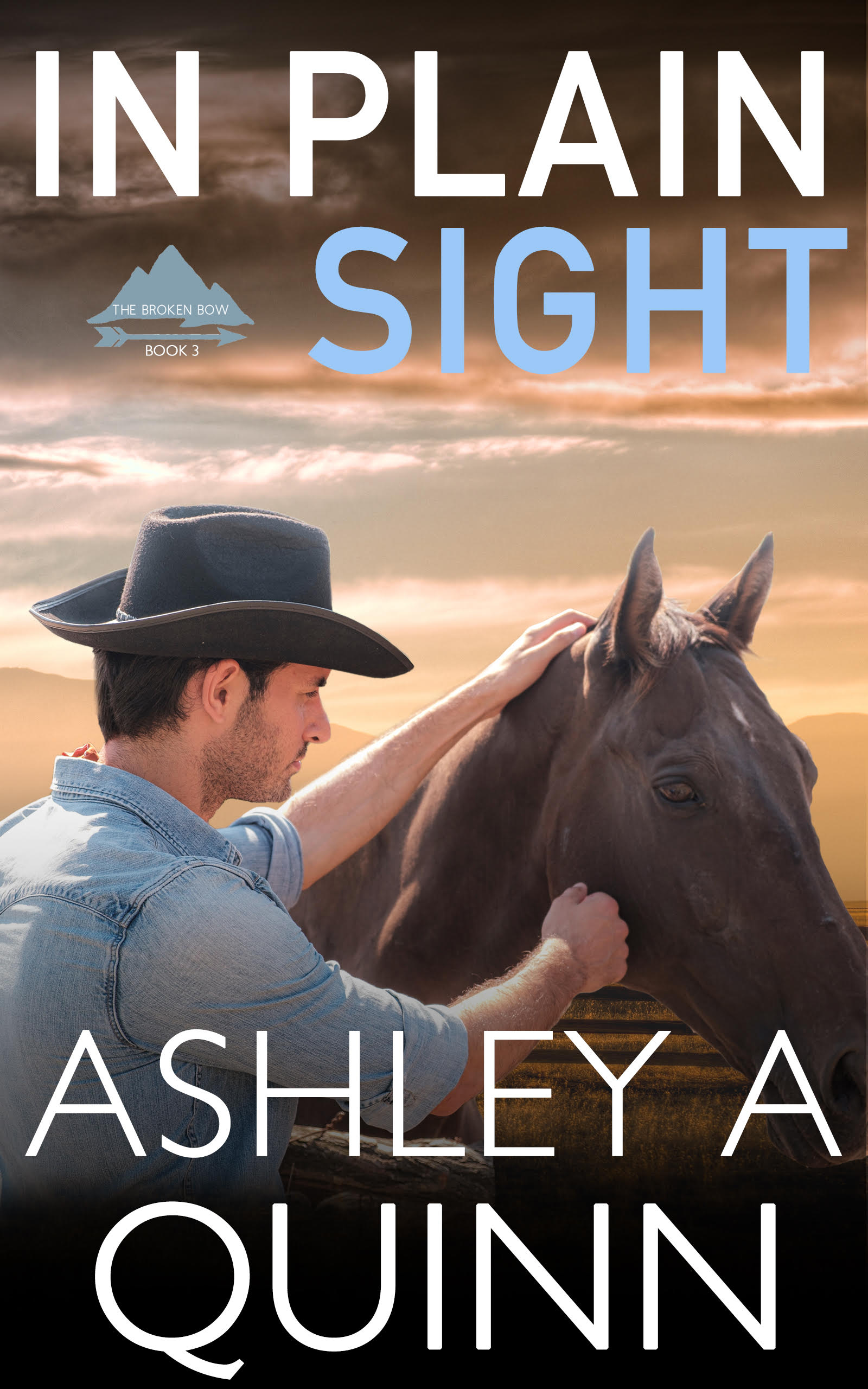 In Plain Sight (Broken Bow Book #3) by Ashley A. Quinn | Goodreads