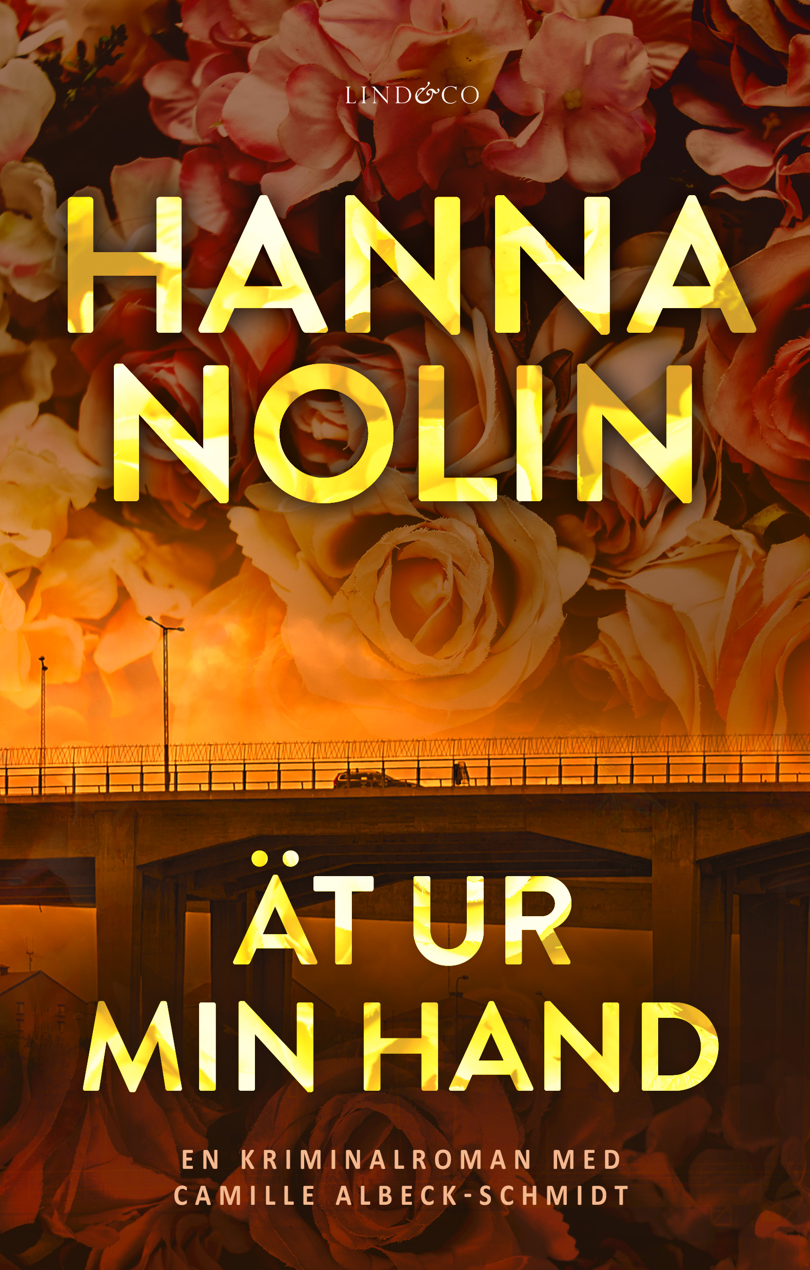 Ät ur min hand (Camille Albeck-Schmidt, #1) by Hanna Nolin | Goodreads