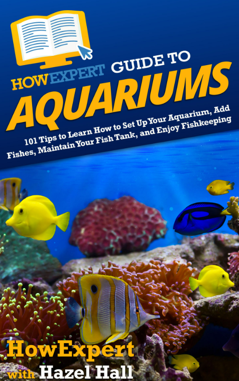 HowExpert Guide to Aquariums: 101 Tips to Learn How to Set Up Your ...