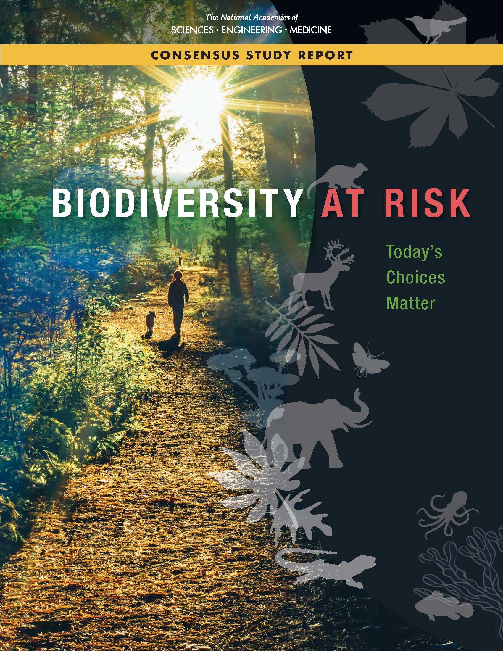 Biodiversity at Risk: Today's Choices Matter by and Medicine National ...