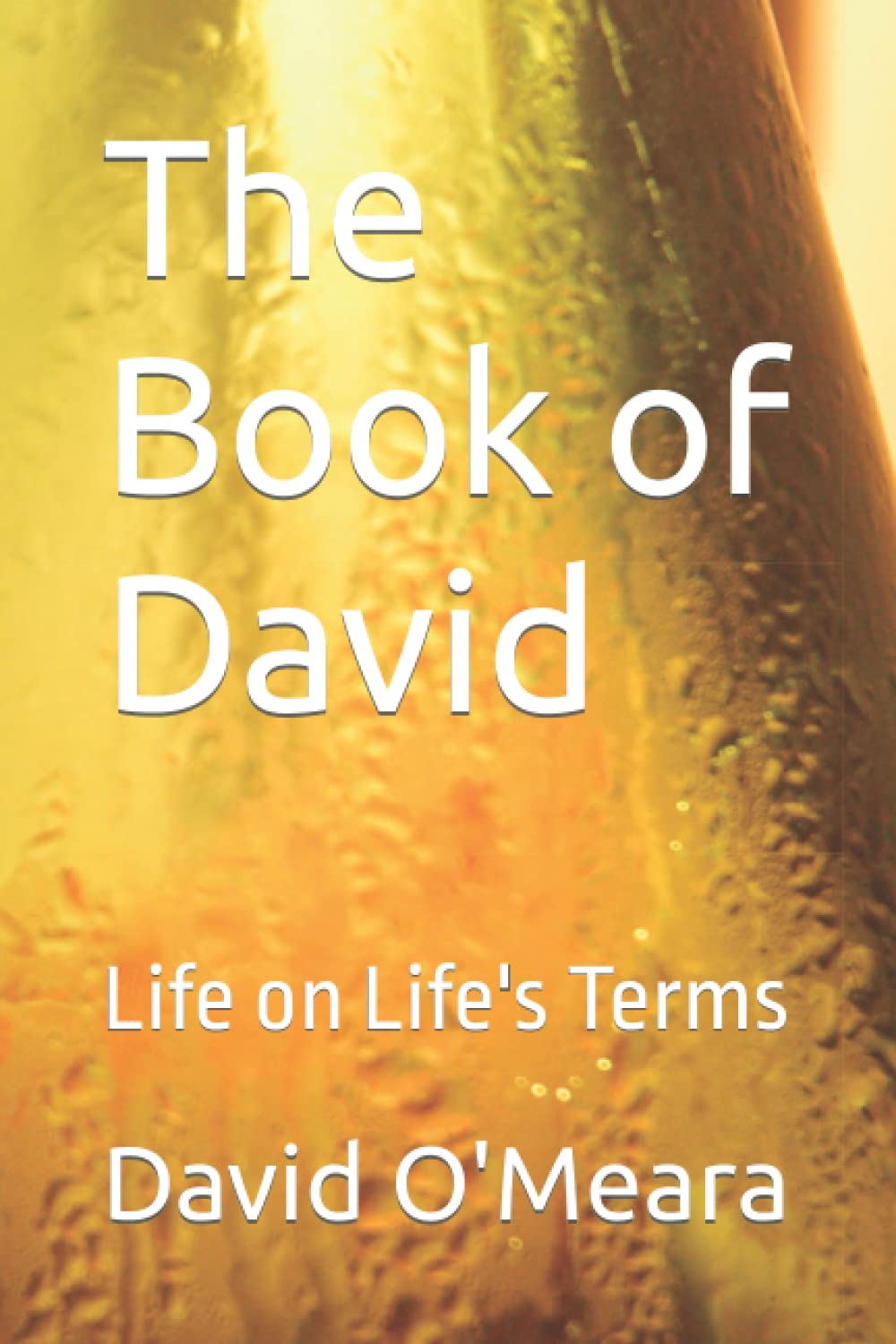 The Book of David: Life on Life's Terms by David Alan O'Meara | Goodreads