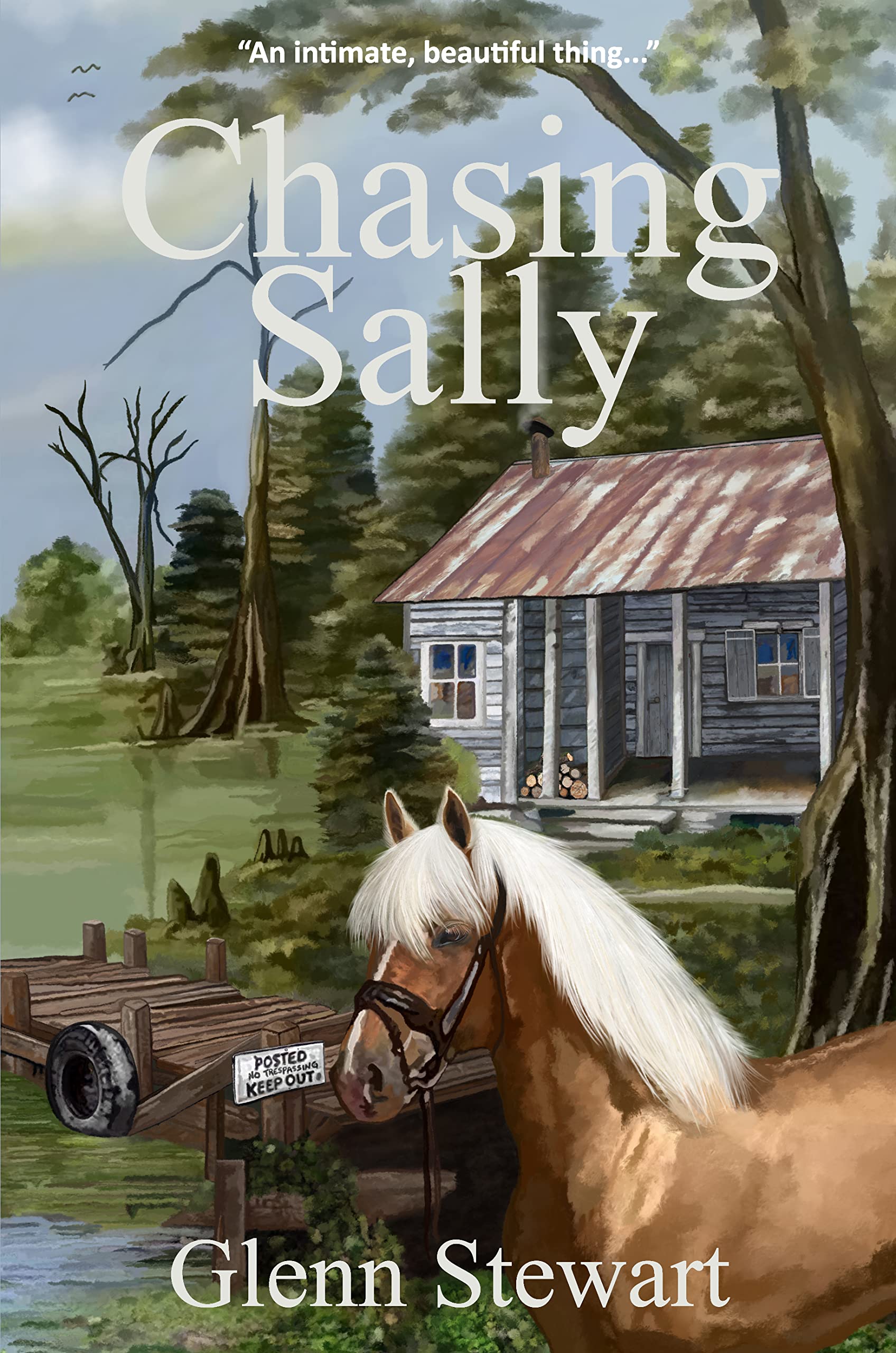 Chasing Sally by Glenn Stewart | Goodreads