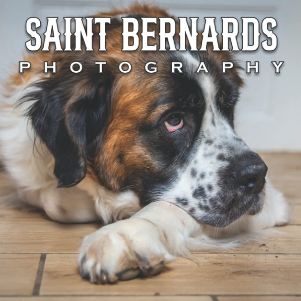 Saint Bernards Photo Book: Compelling Photos Of Saint Bernards ...