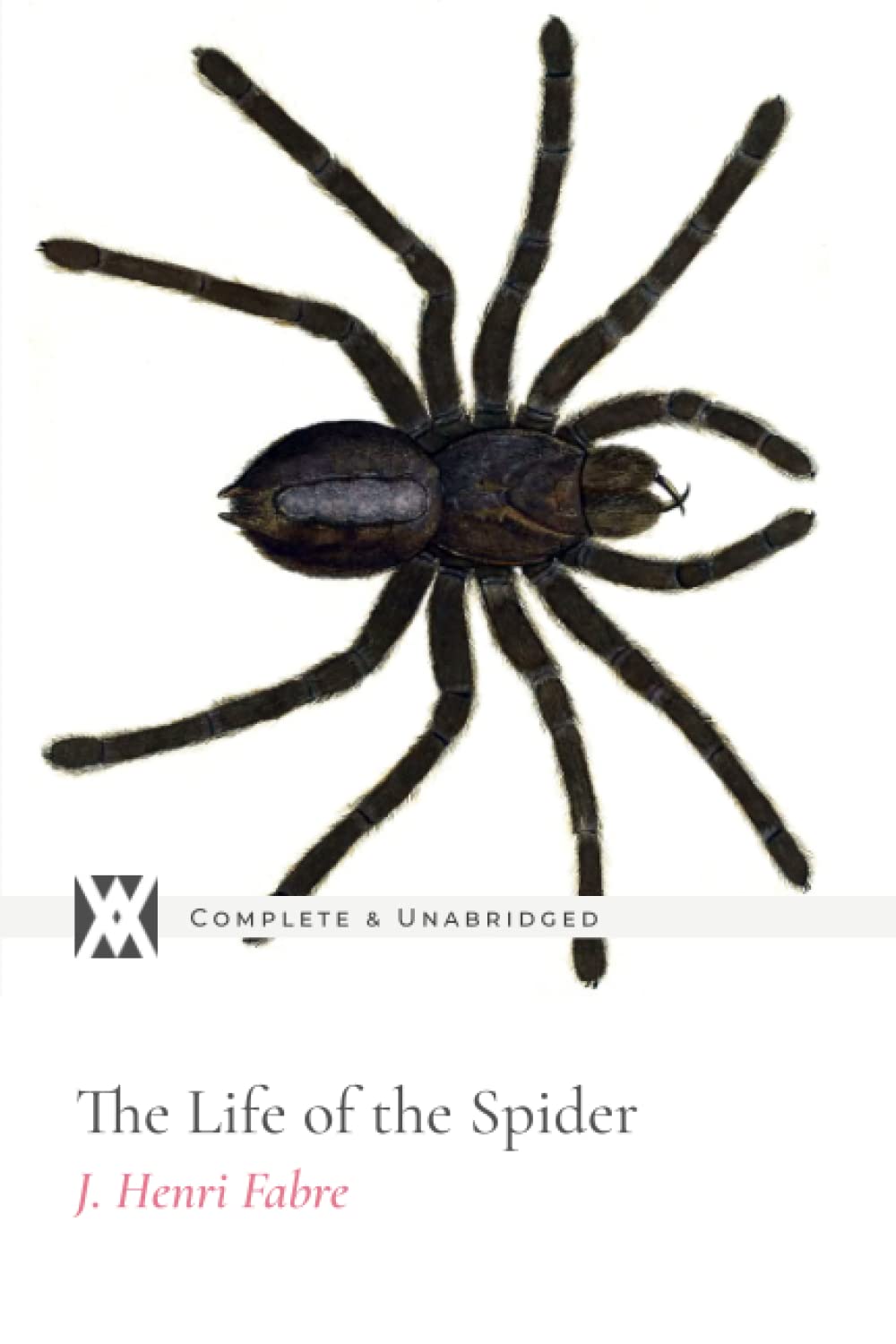The Life of the Spider: With 16 Illustrations by Jean-Henri Fabre ...