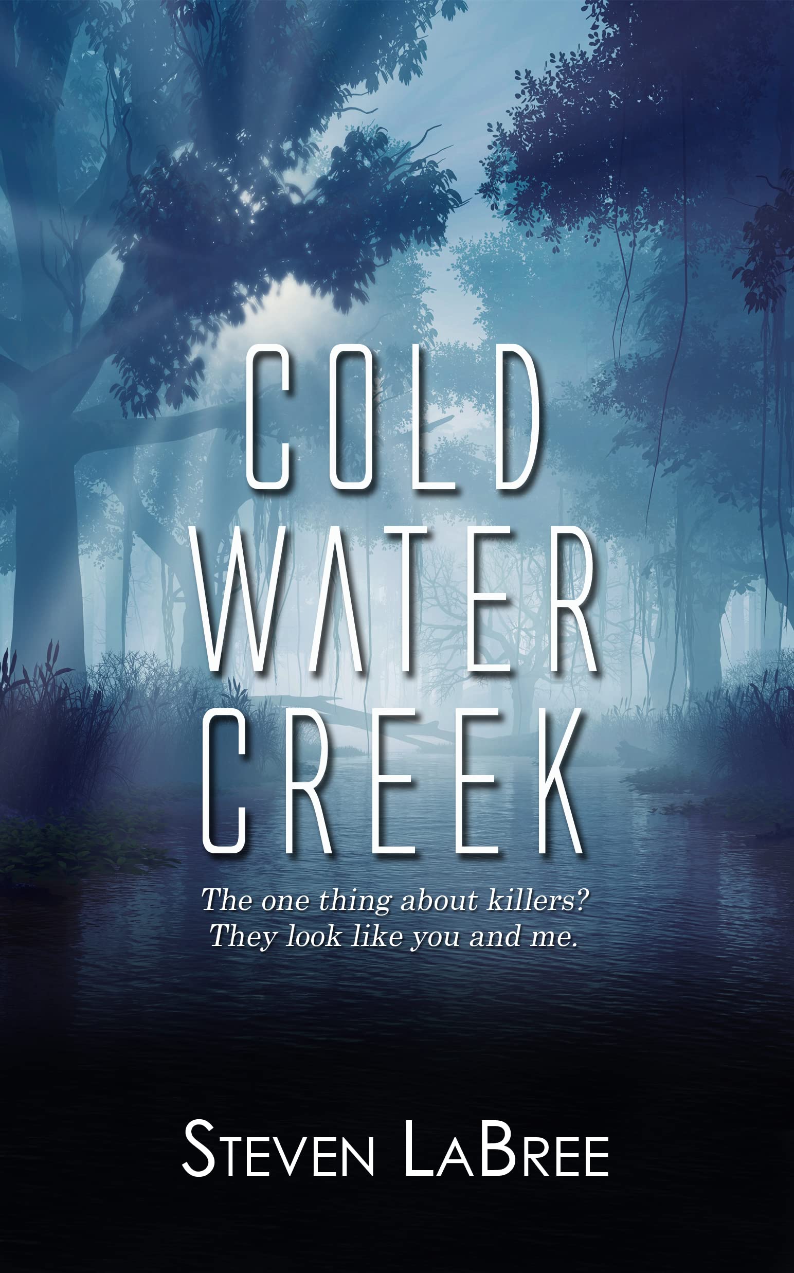 Cold Water Creek by Steven LaBree | Goodreads