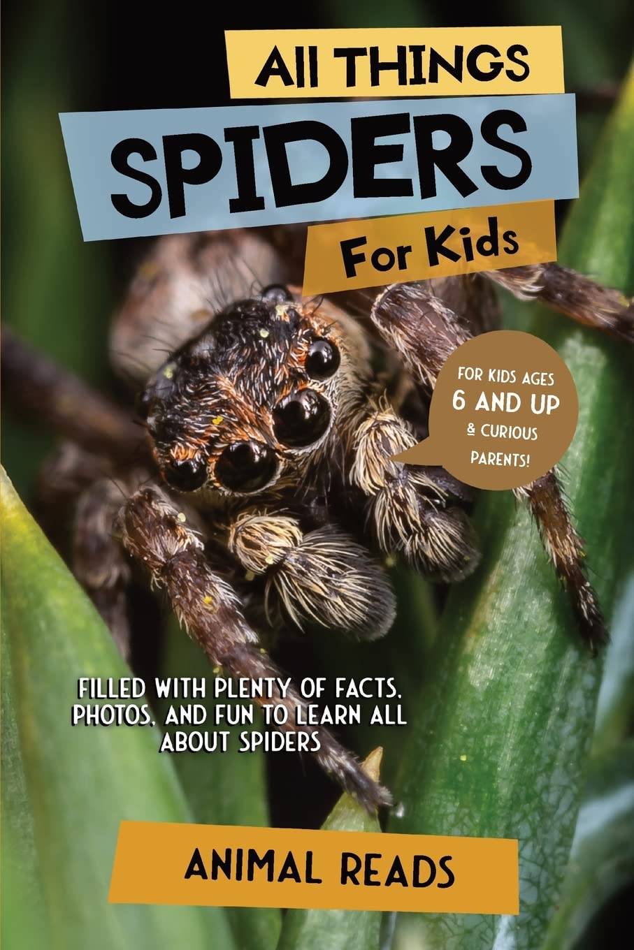 All Things Spiders For Kids: Filled With Plenty of Facts, Photos, and ...