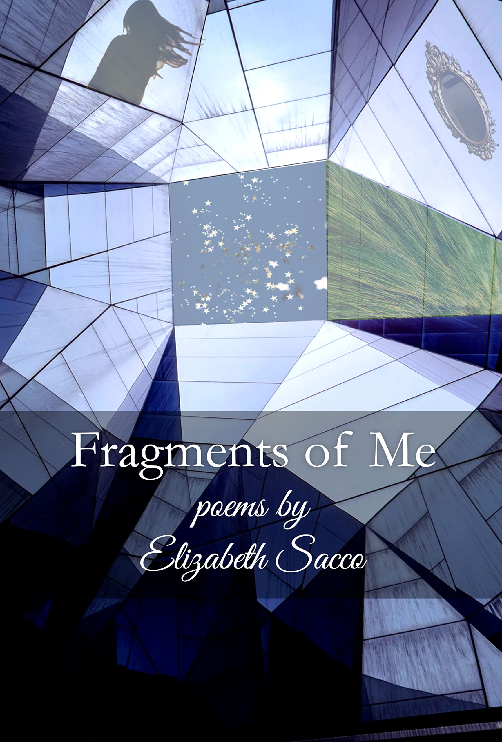 Fragments of Me by Elizabeth Sacco | Goodreads