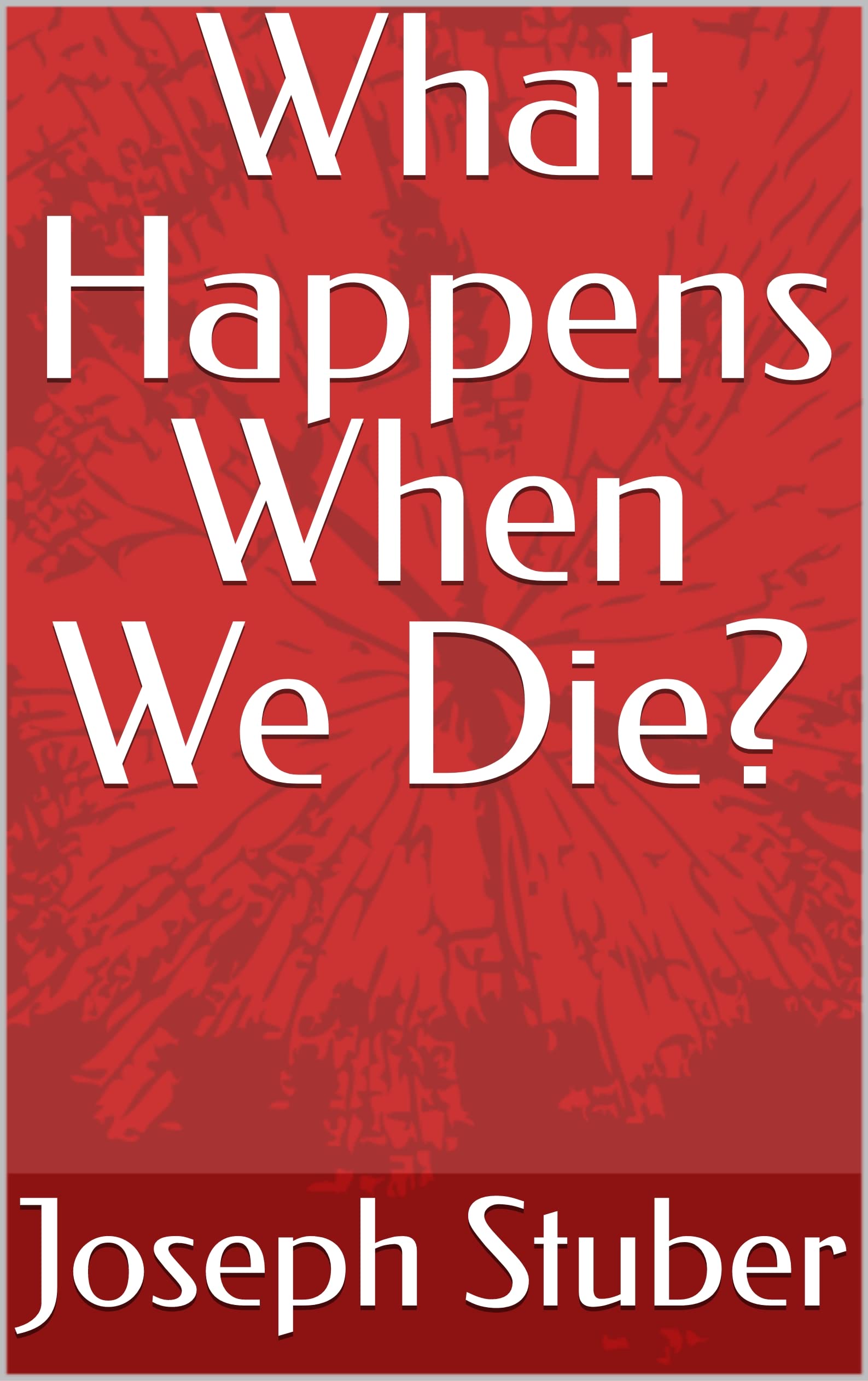 What Happens When We Die? by Joseph Stuber | Goodreads
