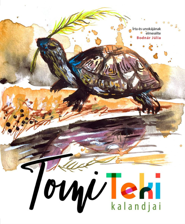Tomi Teki kalandjai by Júlia Bodnár | Goodreads