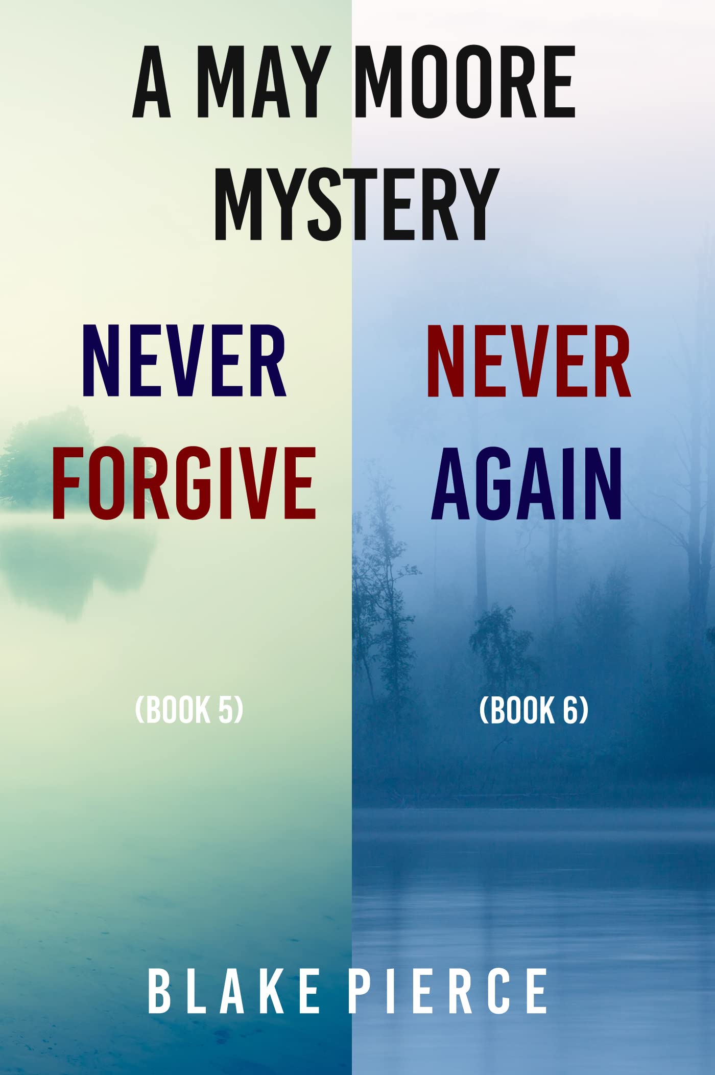 A May Moore Suspense Thriller Bundle: Never Forgive (#5) and Never ...