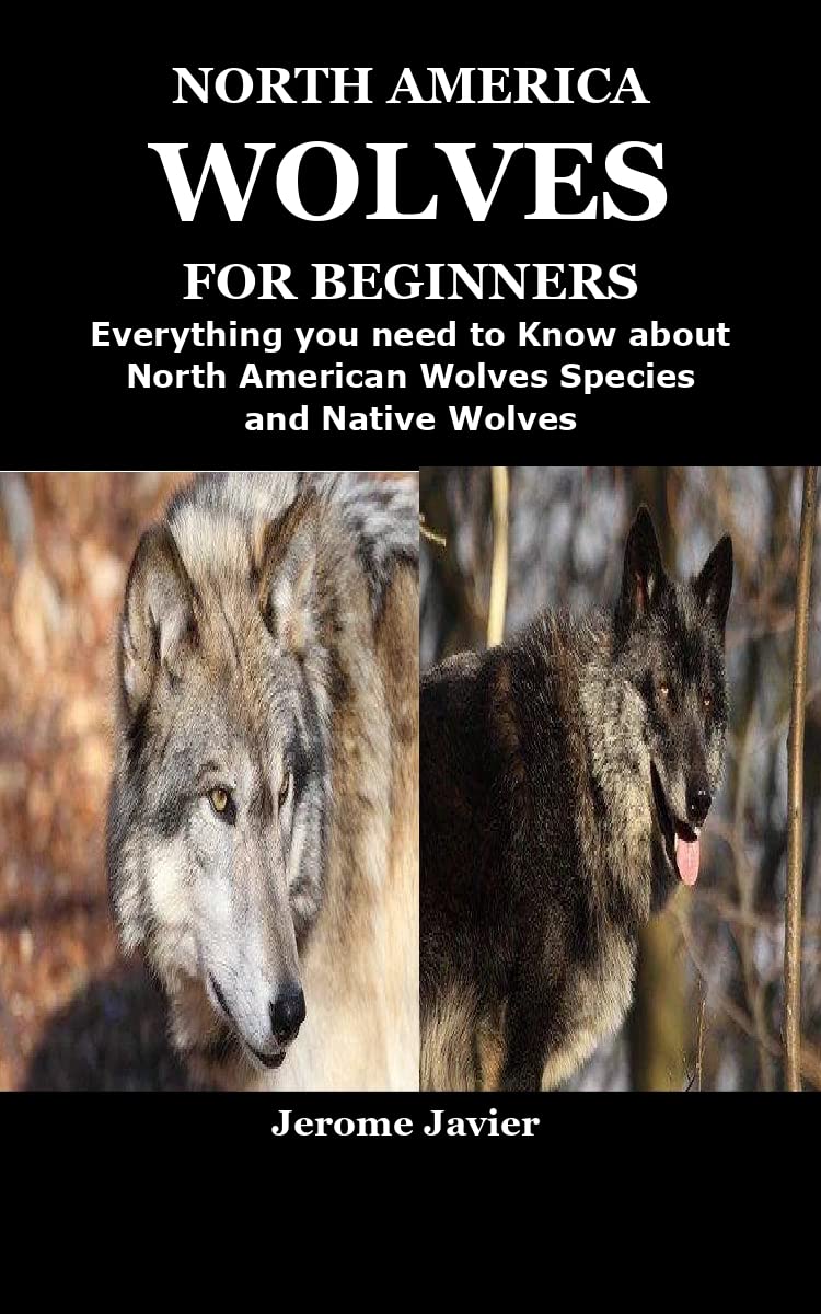 NORTH AMERICA WOLVES FOR BEGINNERS: Everything you need to Know about ...