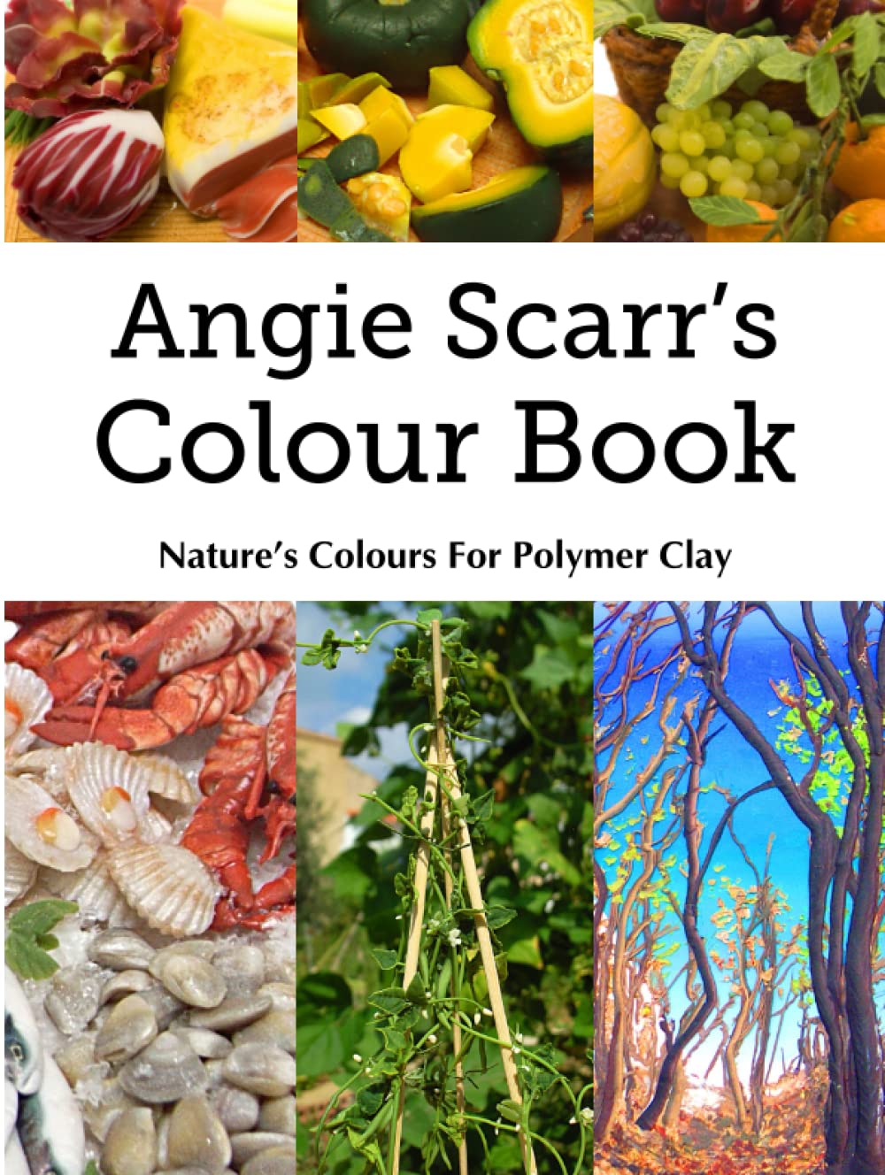 Angie Scarr's Color Book: Nature's Colours For Polymer Clay by Angie ...