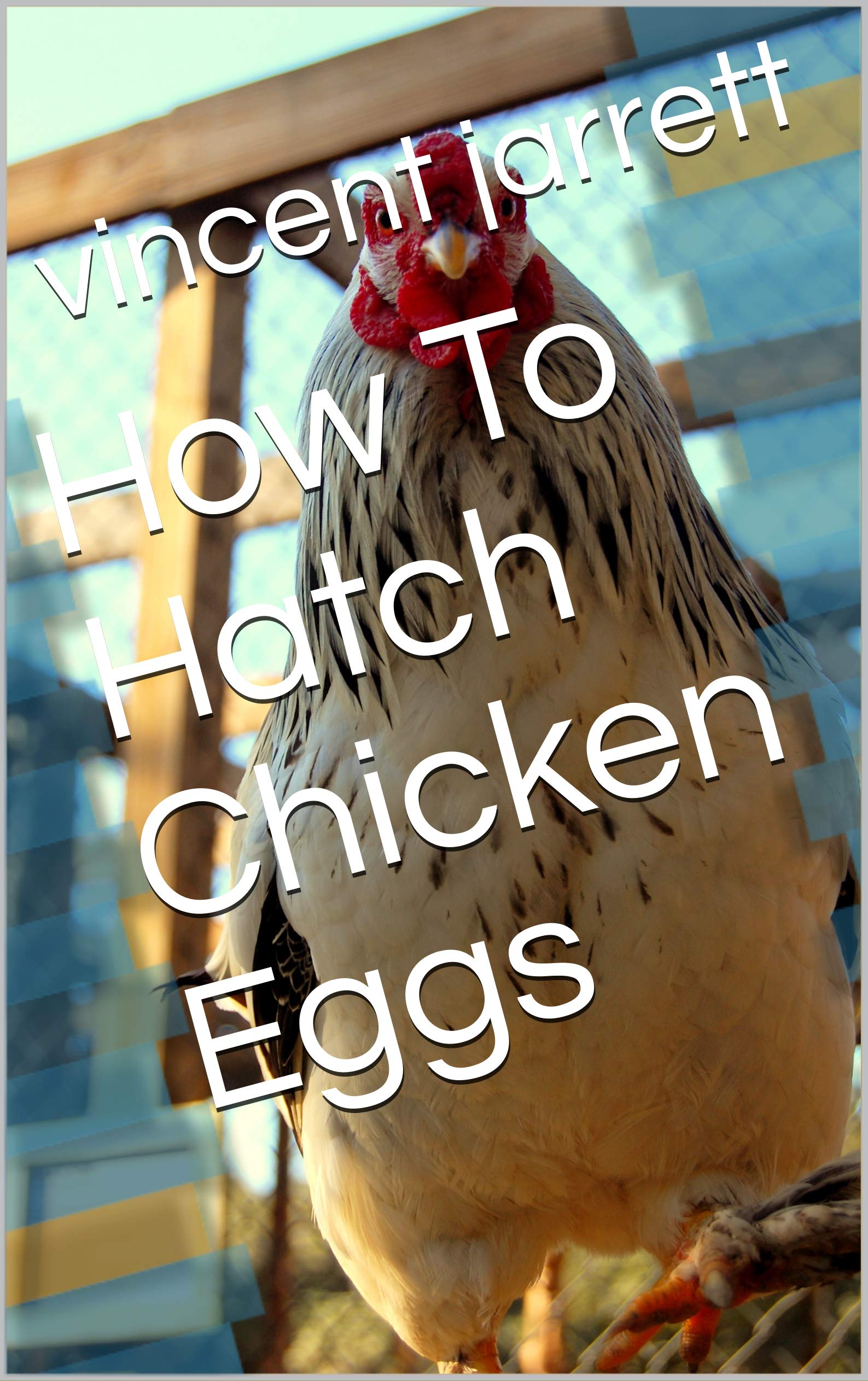 How To Hatch Chicken Eggs by vincent jarrett | Goodreads