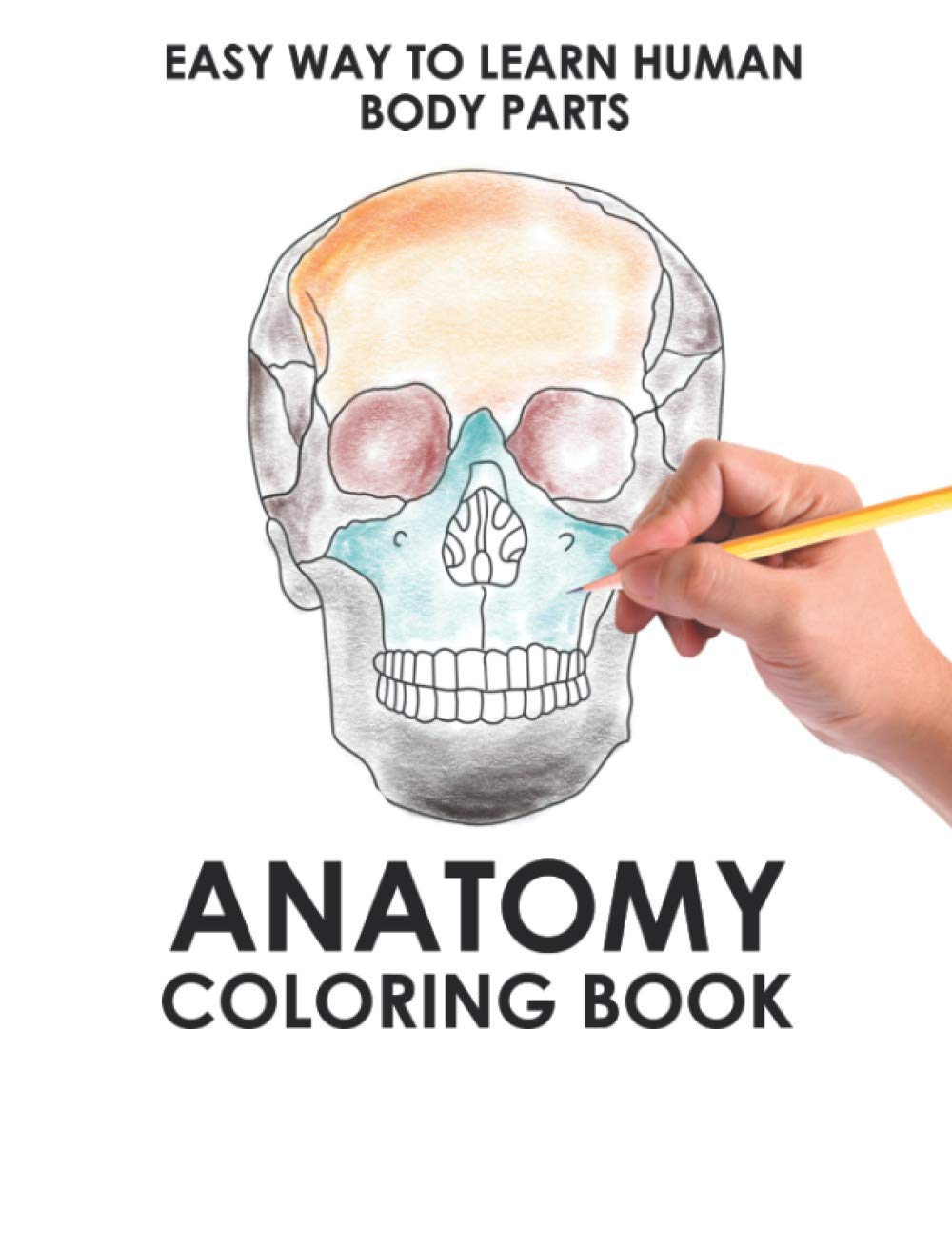 Easy Way To Learn Human Body Parts Anatomy Coloring Book Easy Way To