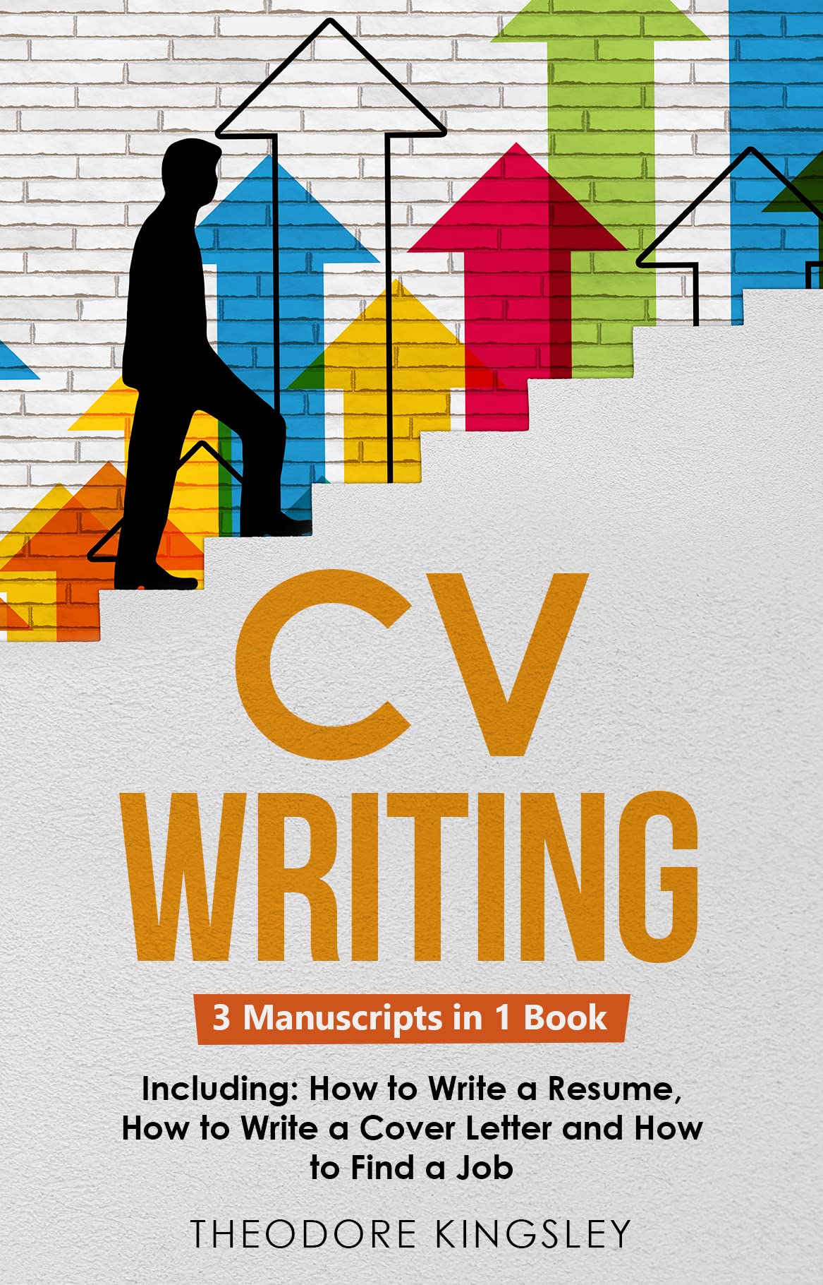 CV Writing: 3-in-1 Guide to Master Curriculum Vitae Templates, Resume ...