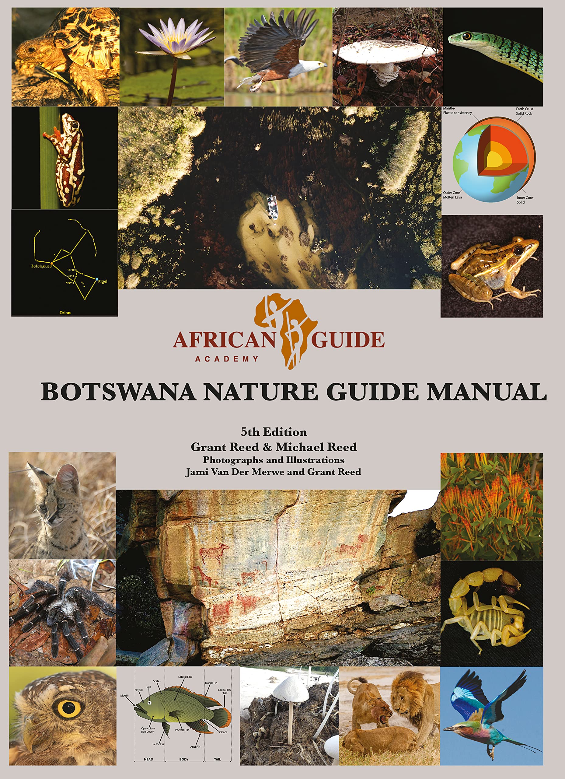 Botswana Nature Guide Manual: A guide for guides and visitors alike by ...