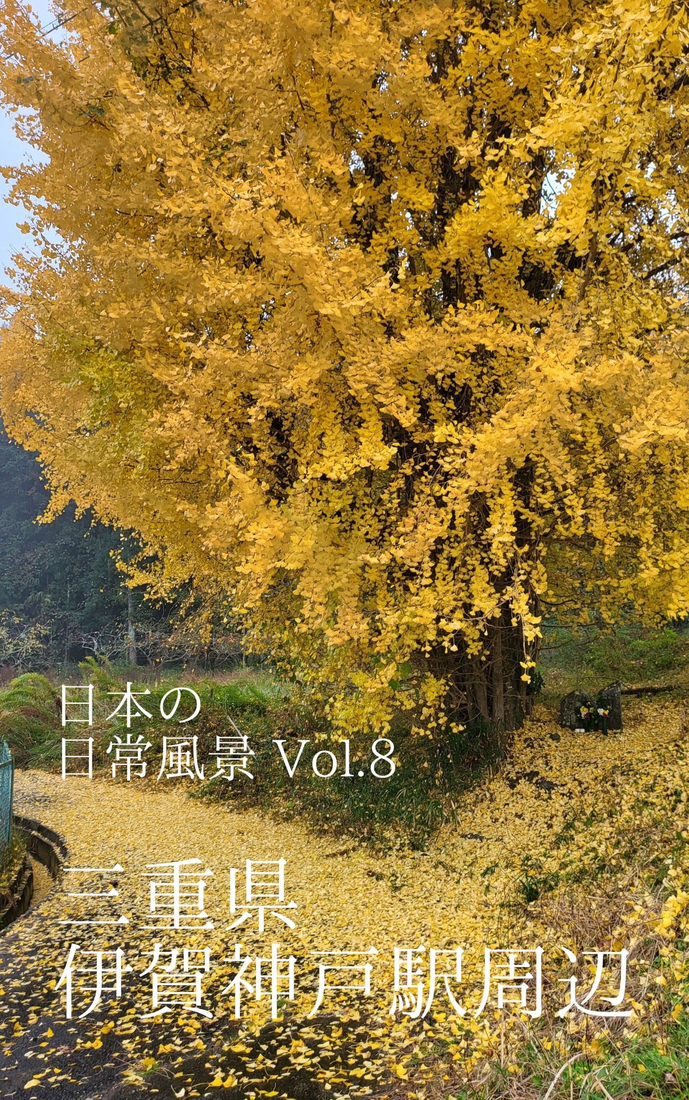 Everyday scenery in Japan : Vol8 Mie Prefecture Igakanbe Station area ...