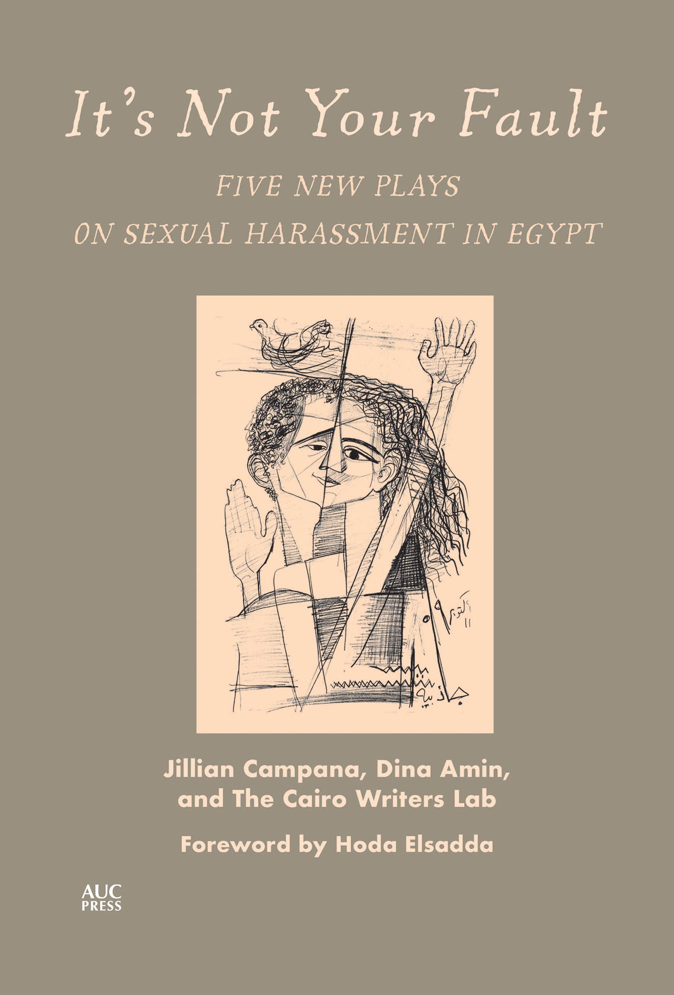It's Not Your Fault: Five New Plays on Sexual Harassment in Egypt by ...