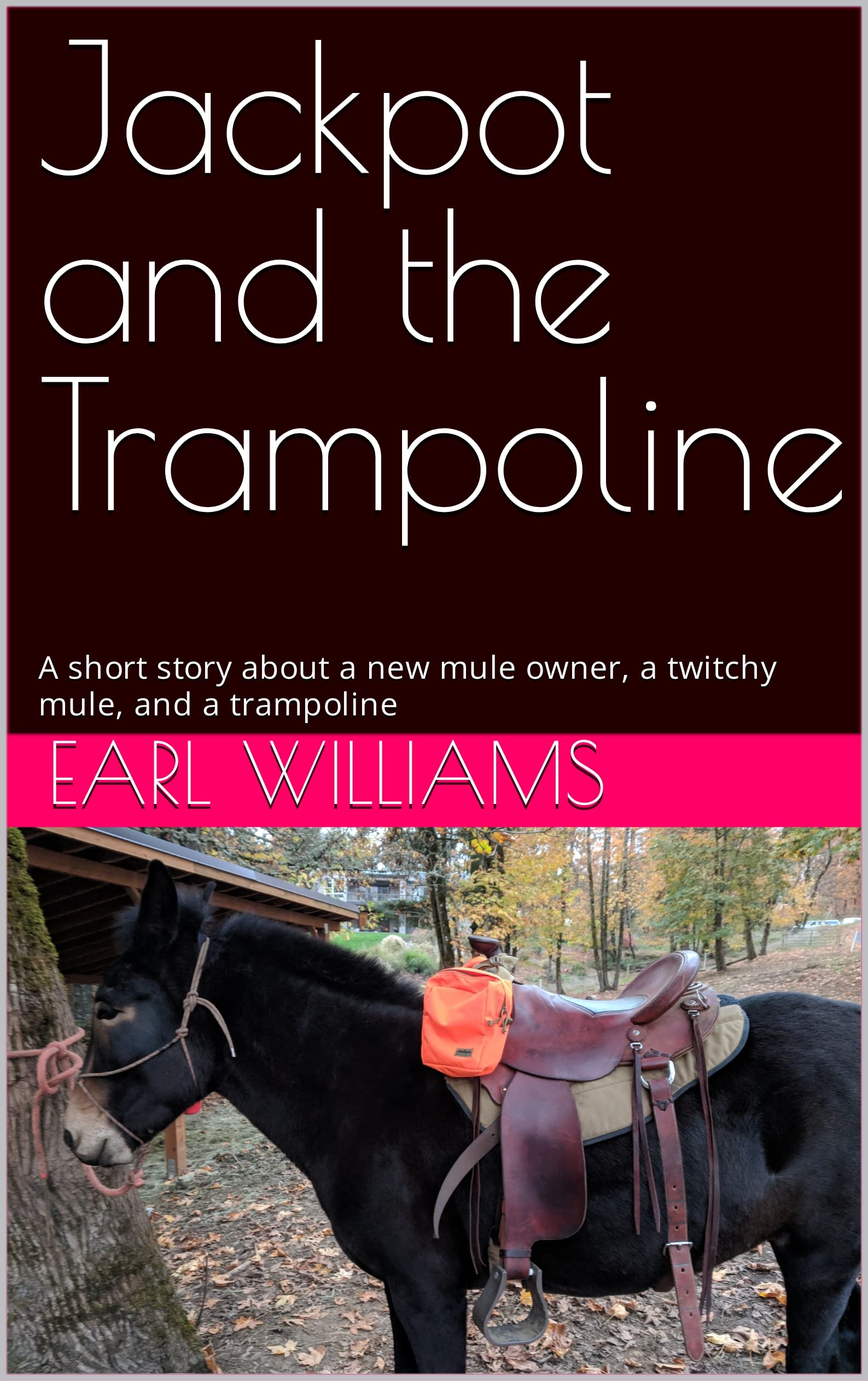 Jackpot and the Trampoline: A short story about a new mule owner, a ...