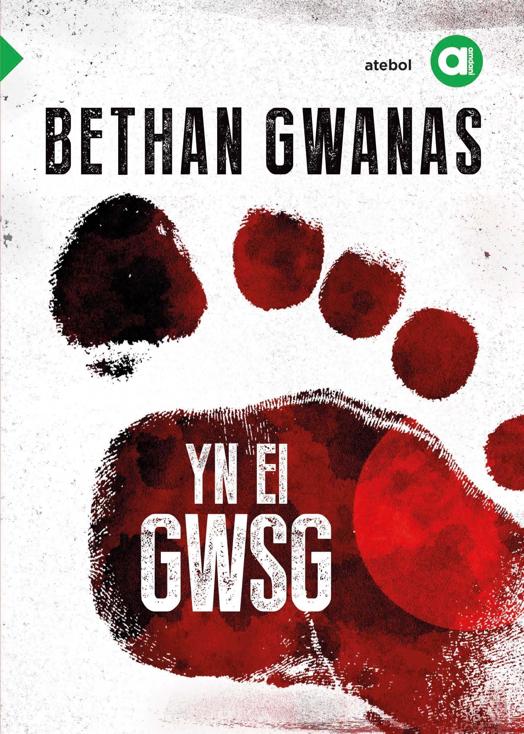 Yn ei Gwsg (Welsh Edition) by Bethan Gwanas | Goodreads