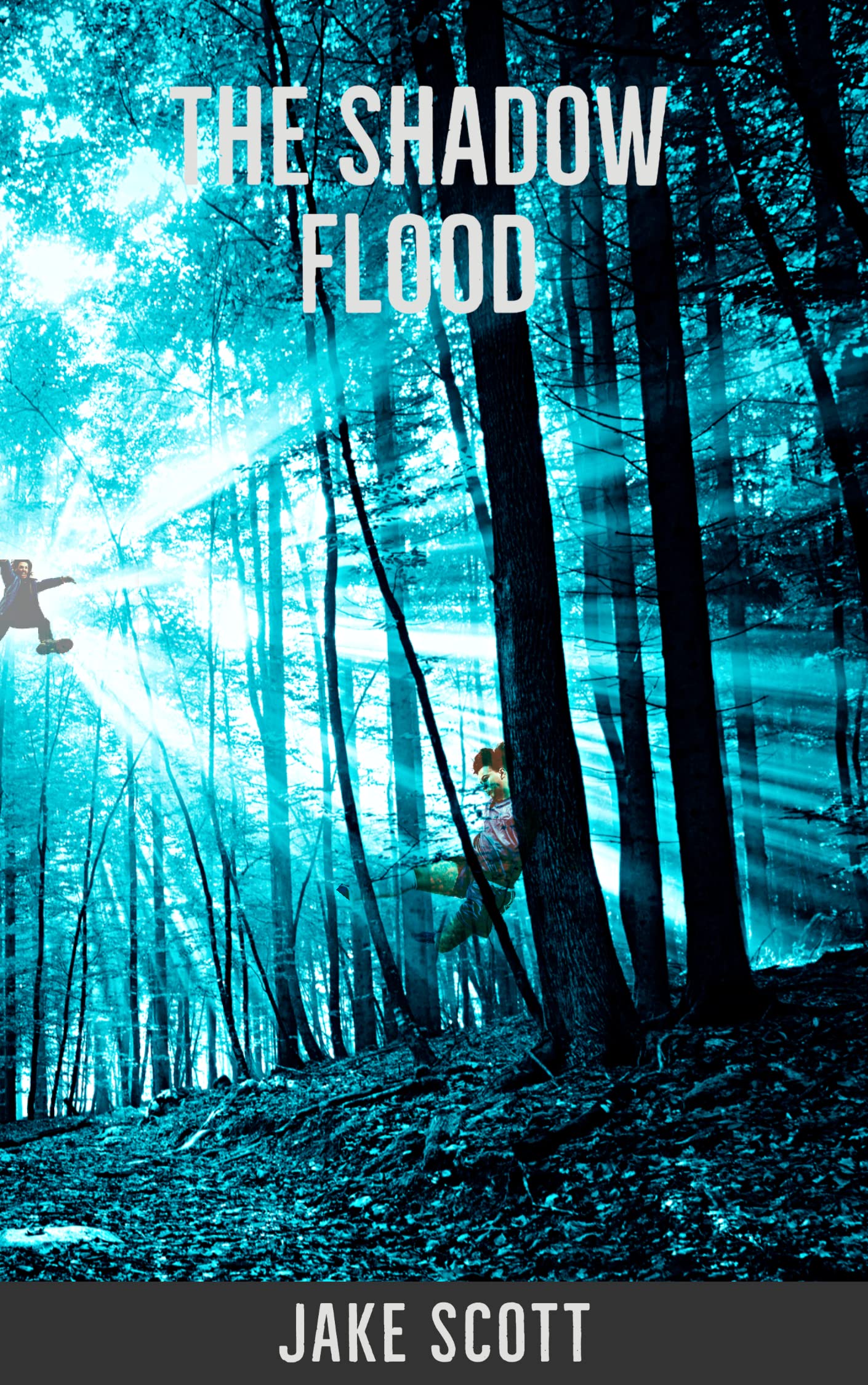 The Shadow Flood by Jake Scott | Goodreads