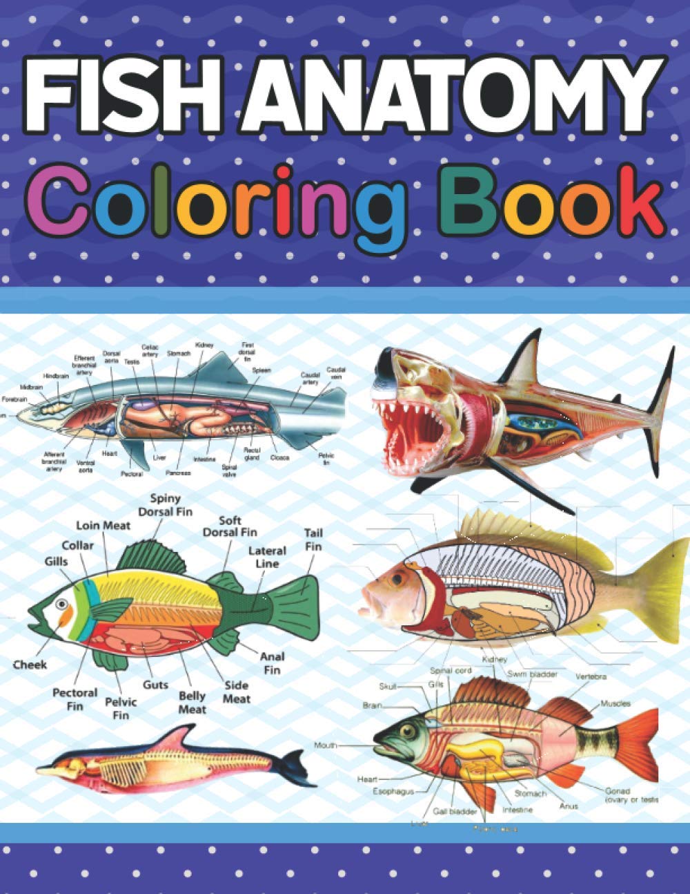 Fish Anatomy Coloring Book: Introduction to Fish Anatomy Workbook. Kids ...