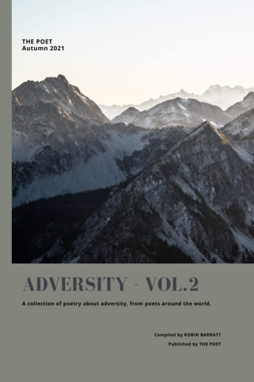 ADVERSITY Vol.2: Poetry on the theme of adversity, from poets around ...