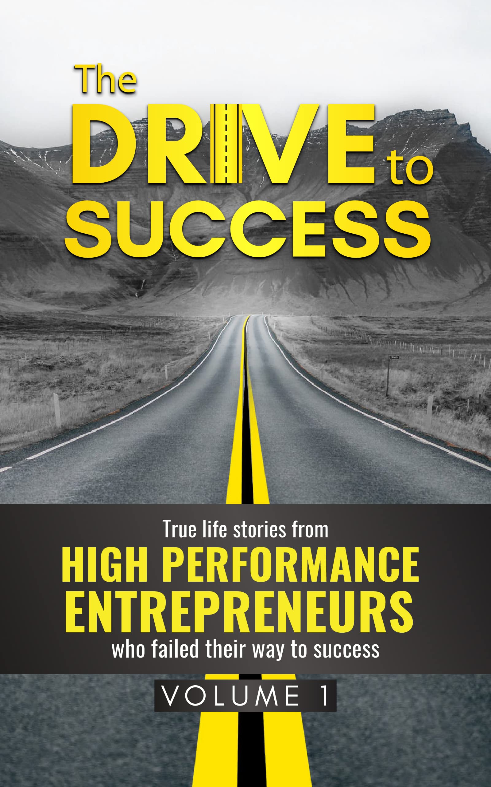 The DRIVE to SUCCESS: True life stories from HIGH-PERFORMANCE ENTREPRENEURS who failed their way ...