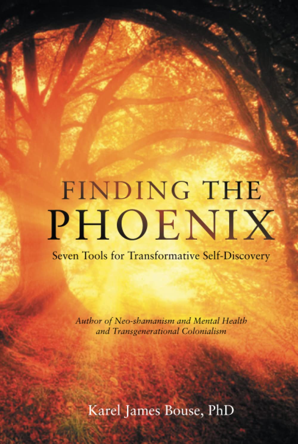 Finding the Phoenix: Seven Tools for Transformative Self-Discovery by ...