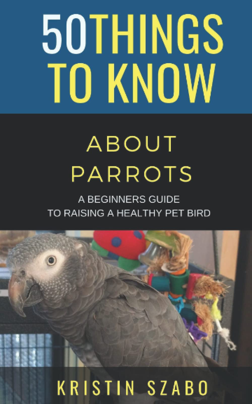 50 Things to Know About Parrots: A Beginners Guide to Raising a Healthy ...