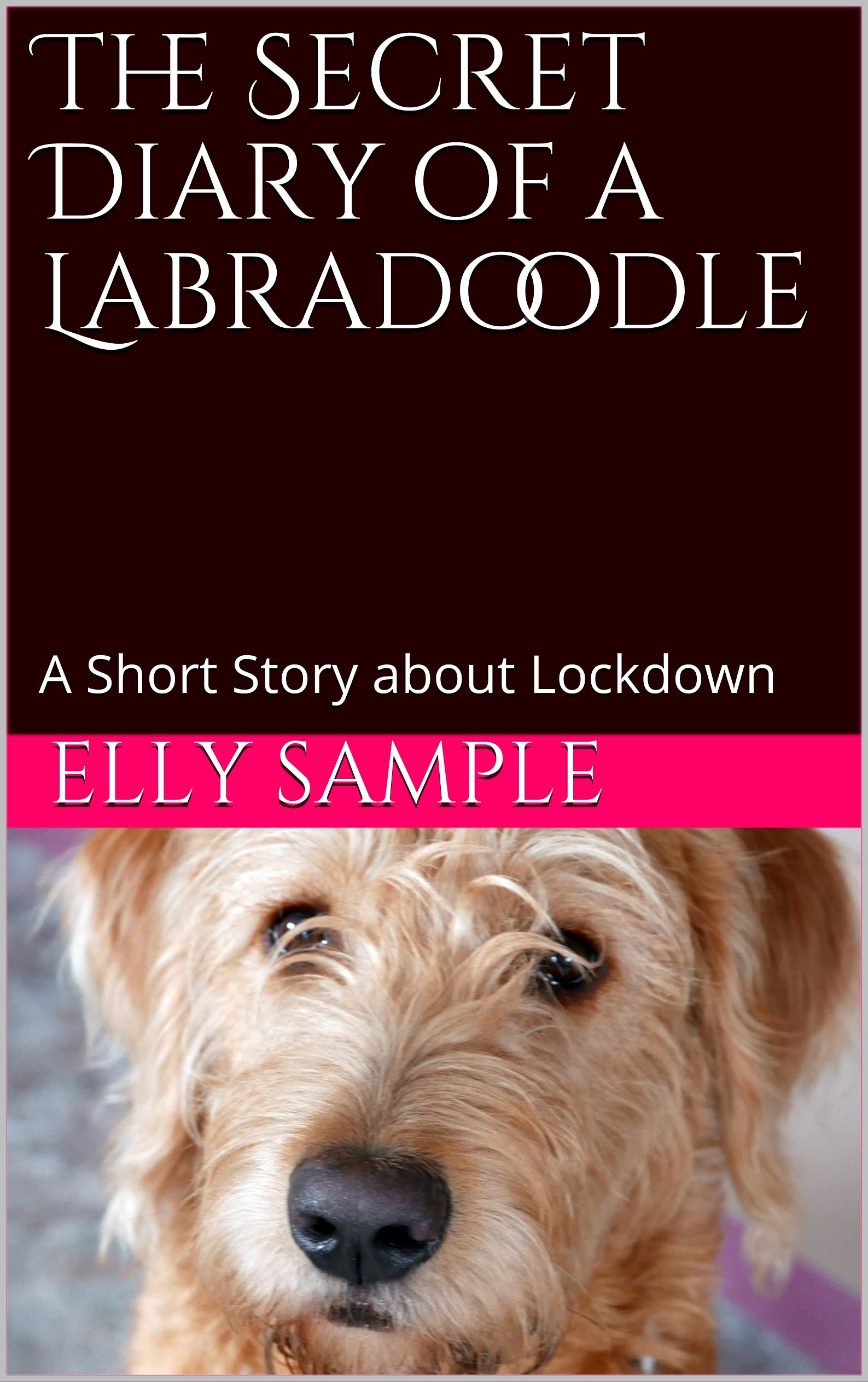 The Secret Diary of a Labradoodle: A Short Story about Lockdown by Elly ...