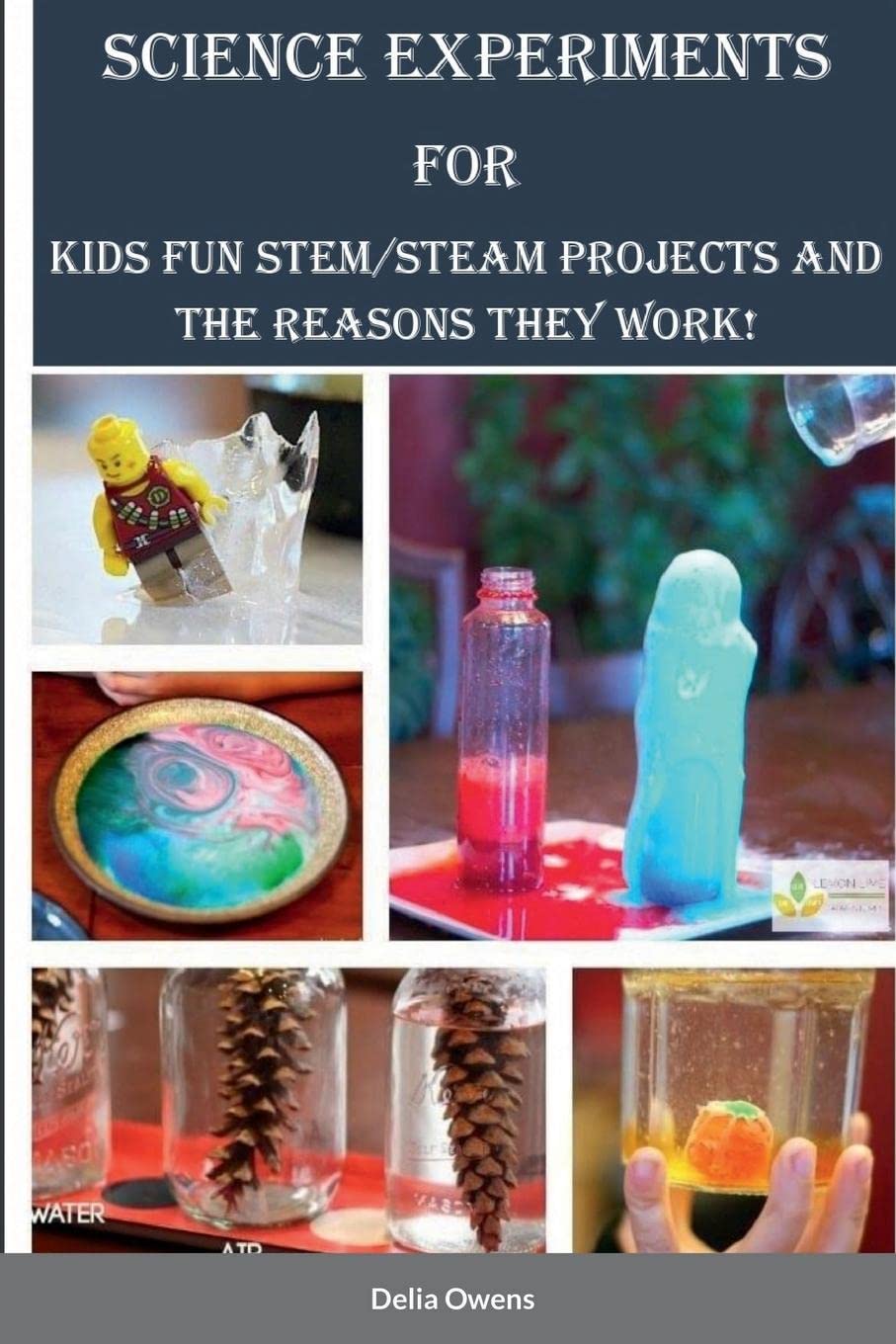 Science Experiments for Kids: Fun STEM/STEAM Projects and the Reasons They Work! by Crystal ...